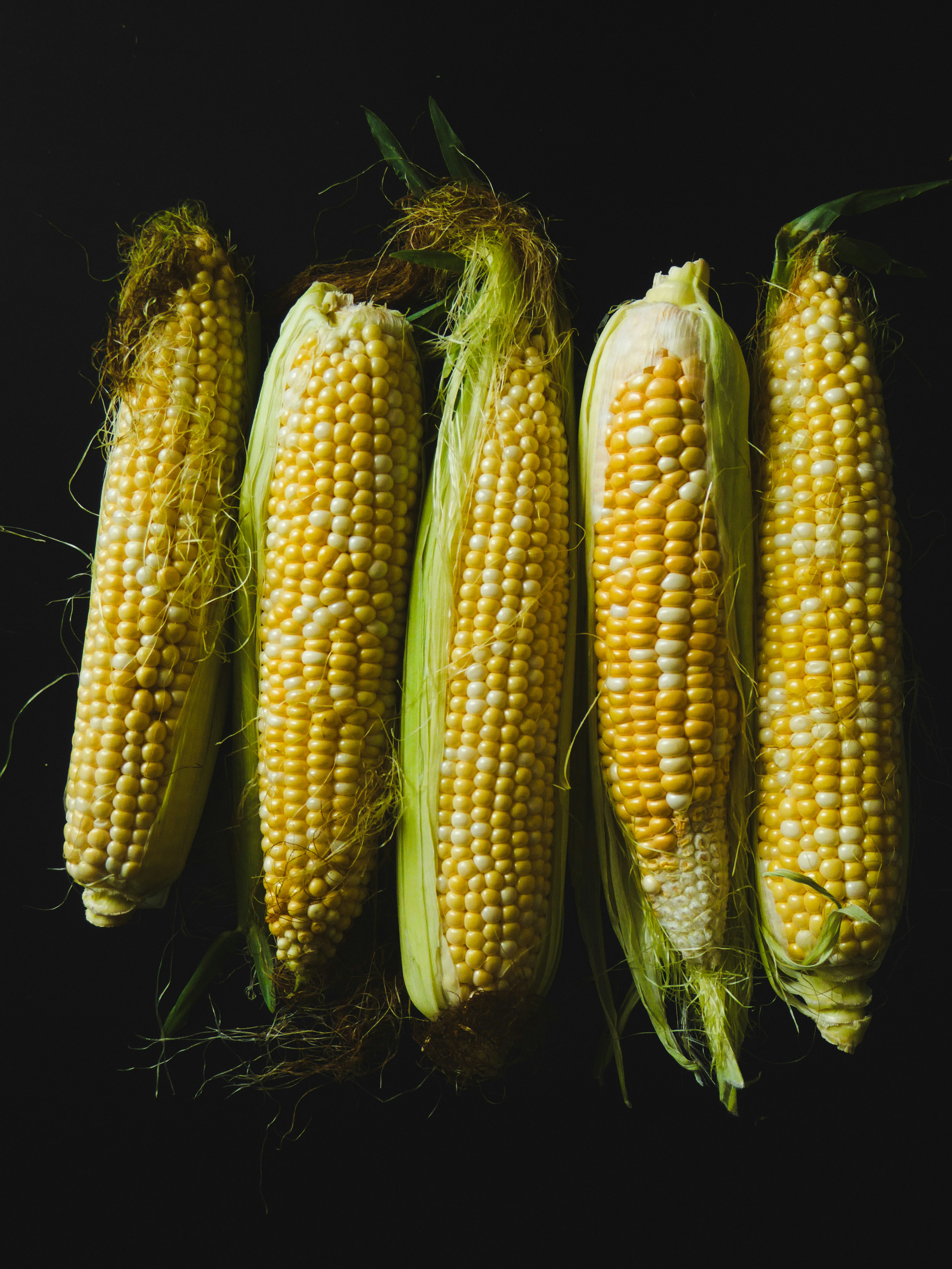 Golden kernels in a row: edible daylight on dark canvas