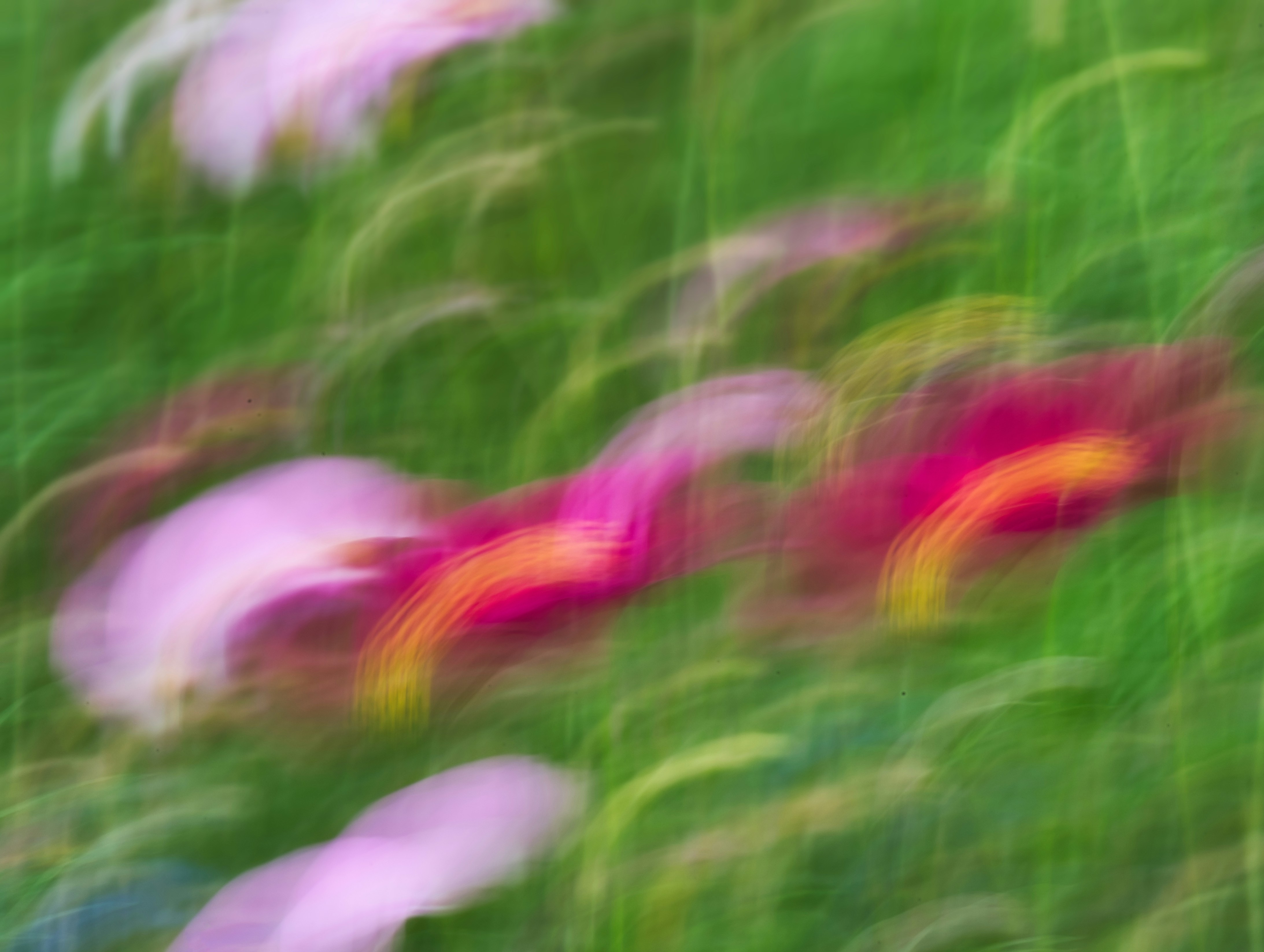 Blurred Meadow: Swirls of Color in a Wind-Driven Burst