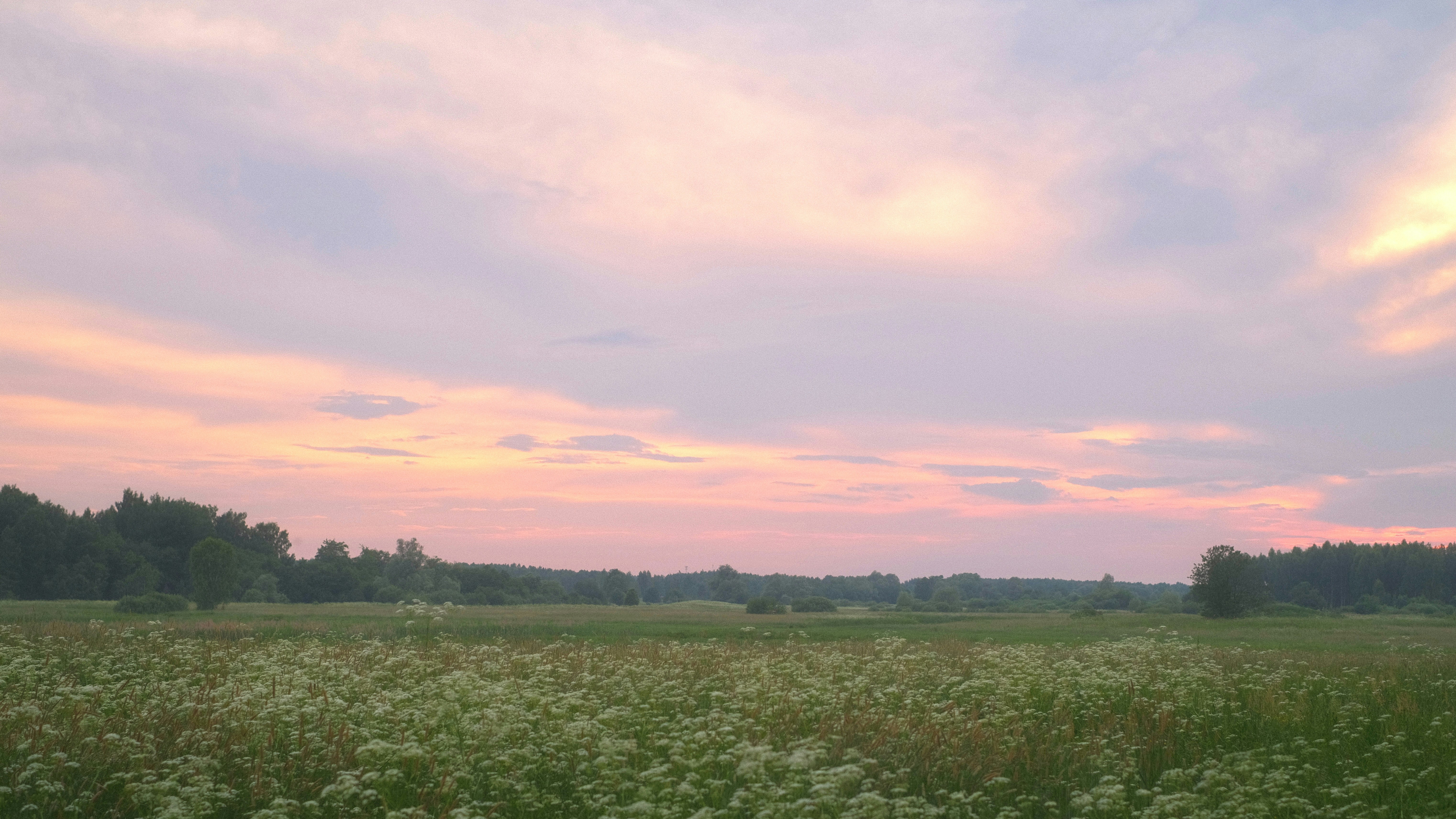 Dusk Over the Distant Field: A Quiet Horizon