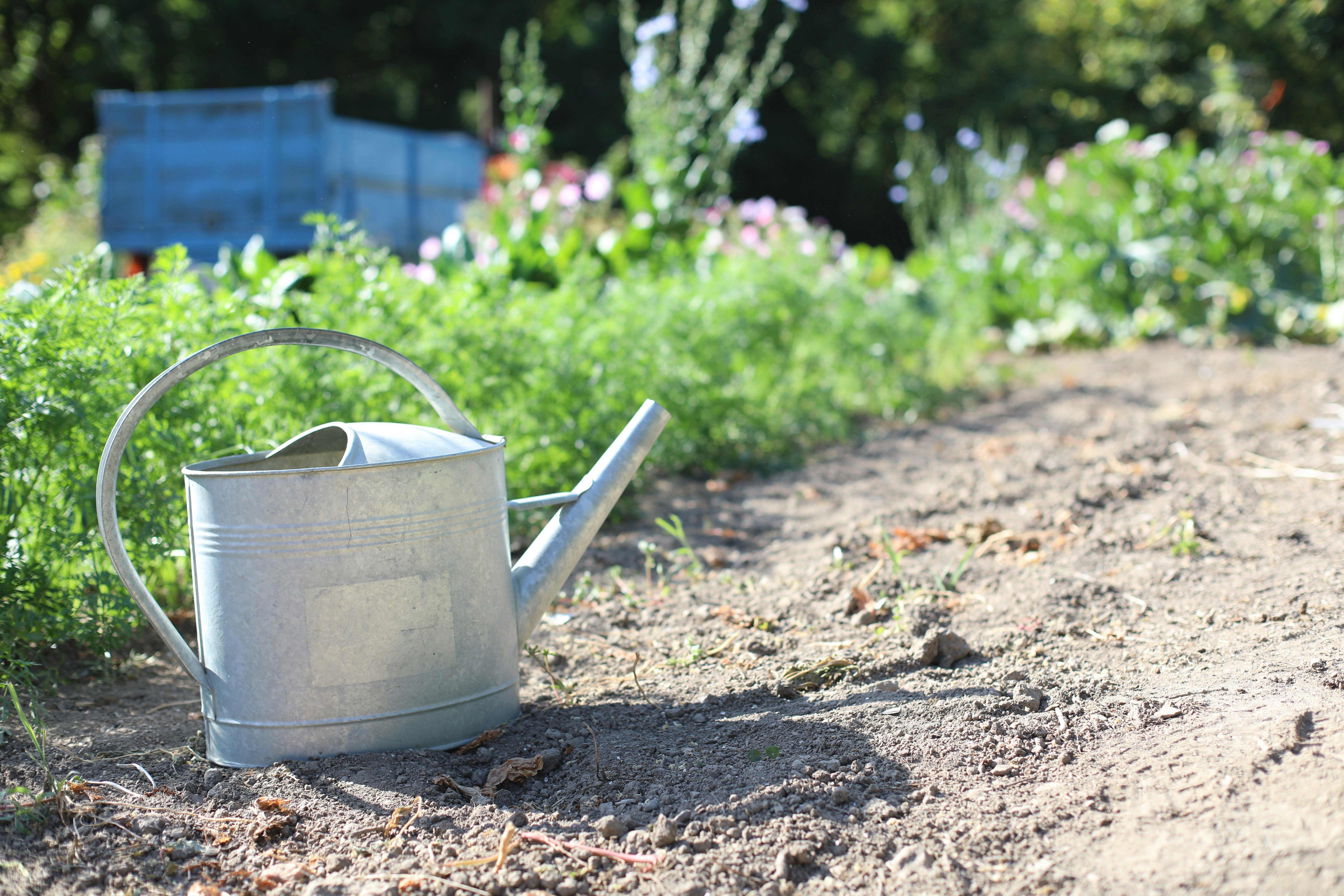 Gentle Rain on a Garden Morning: A Metal Watering Can Resting on Soil