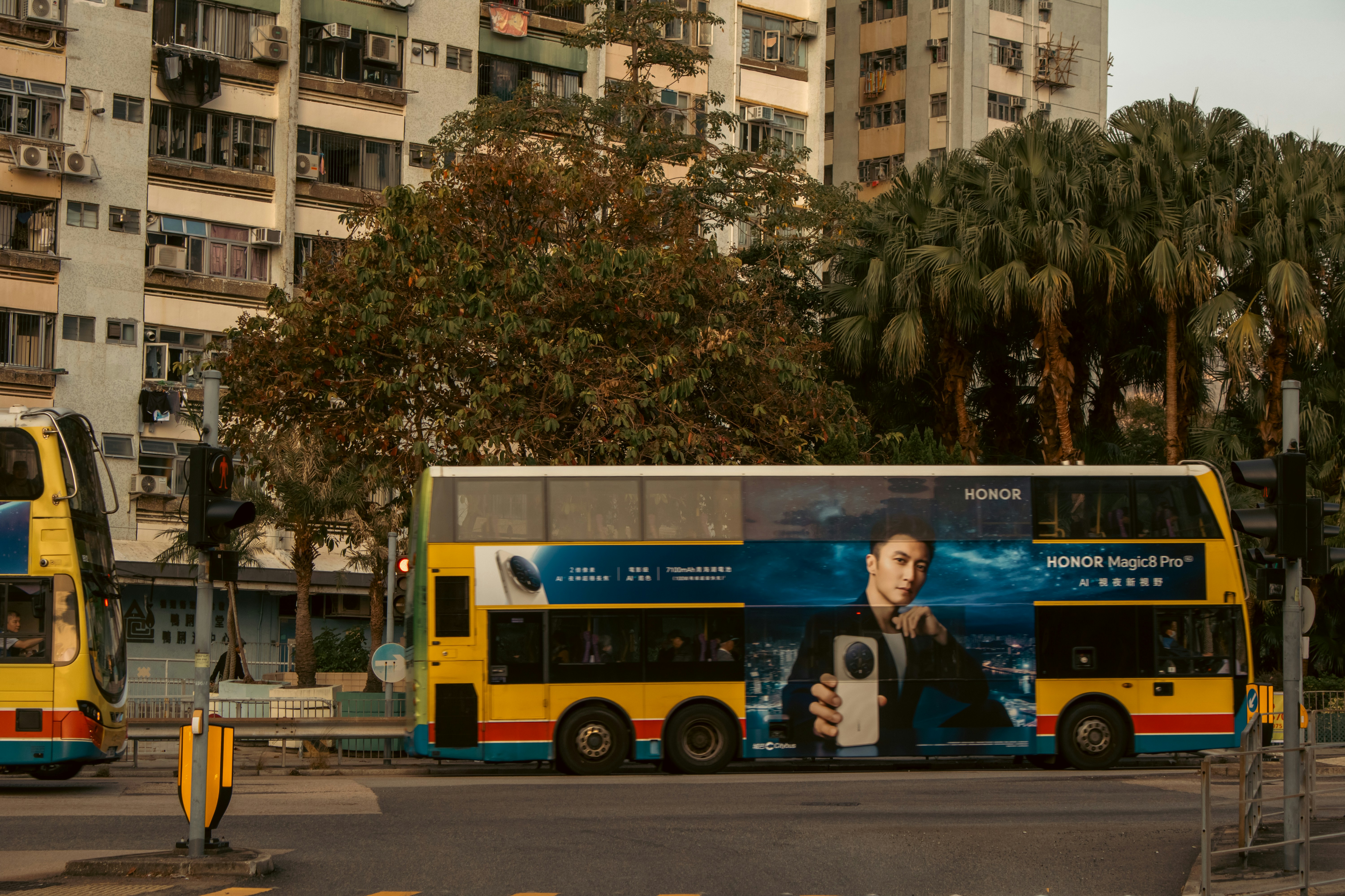 Urban Bus Portrait: A Colorful City Bus as the Daily Canvas