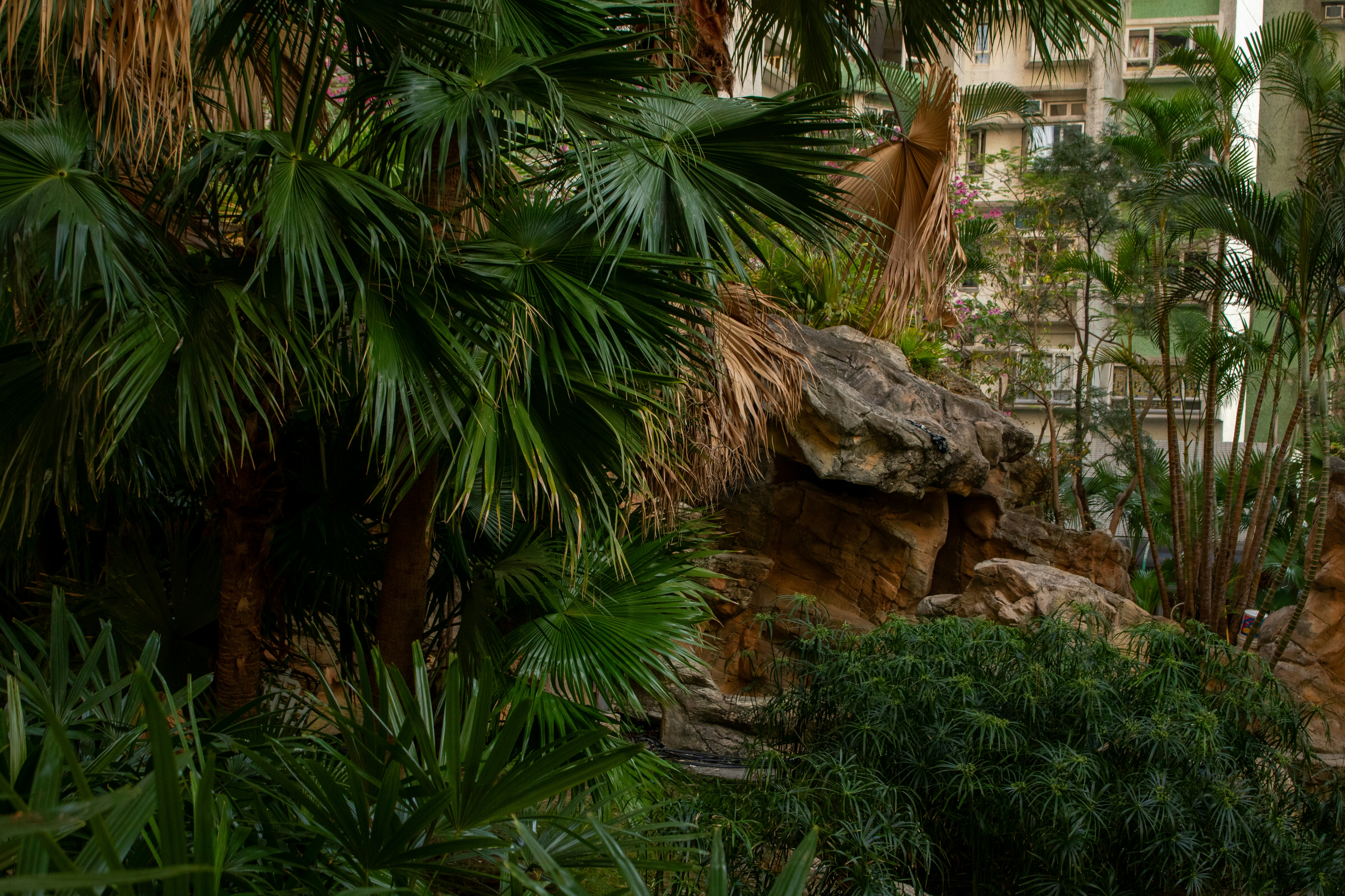 Hidden Oasis: Rock, Foliage, and Quiet Water in an Indoor Garden