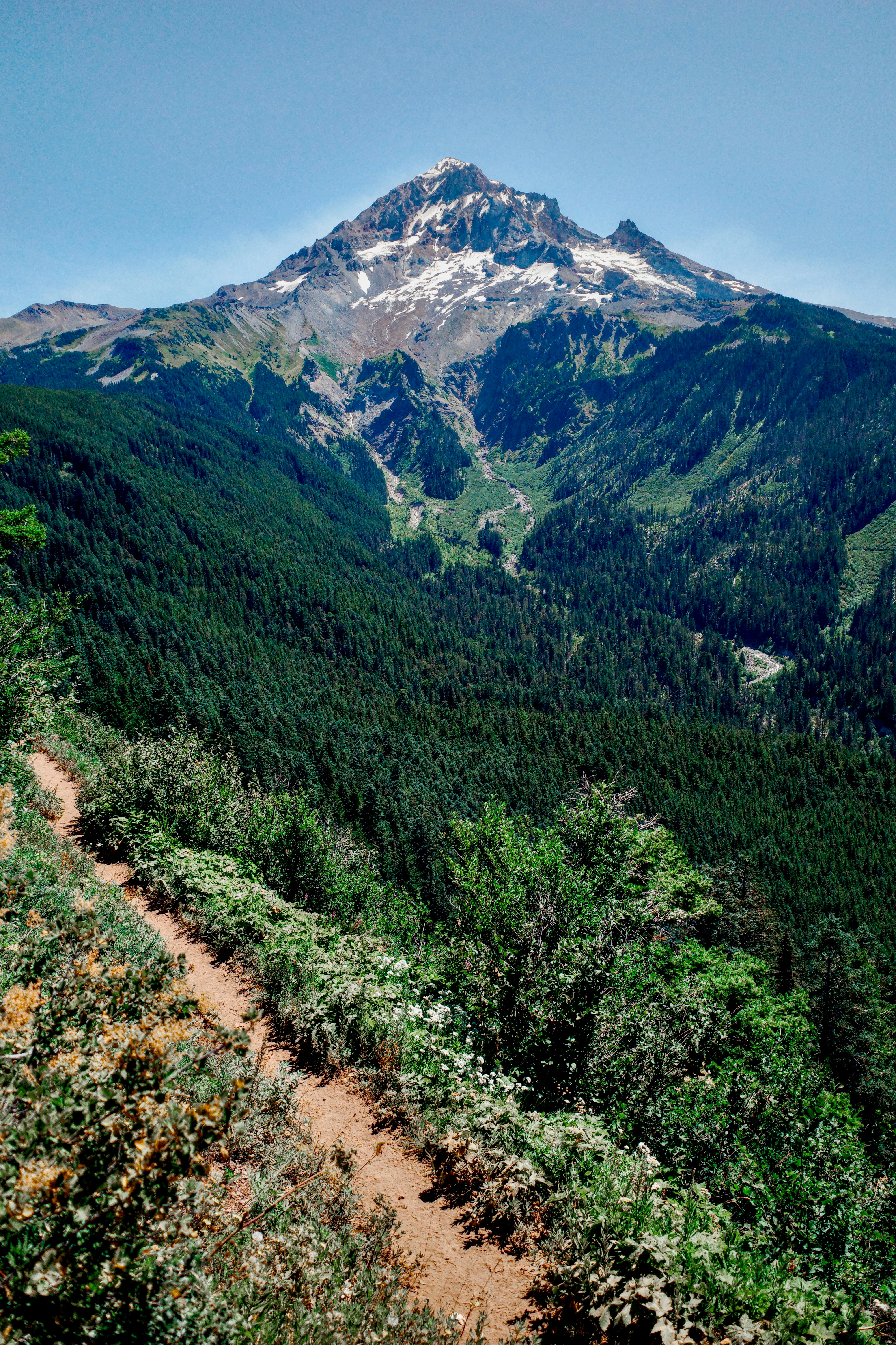 Snowcap Summit Above the Green Ridge