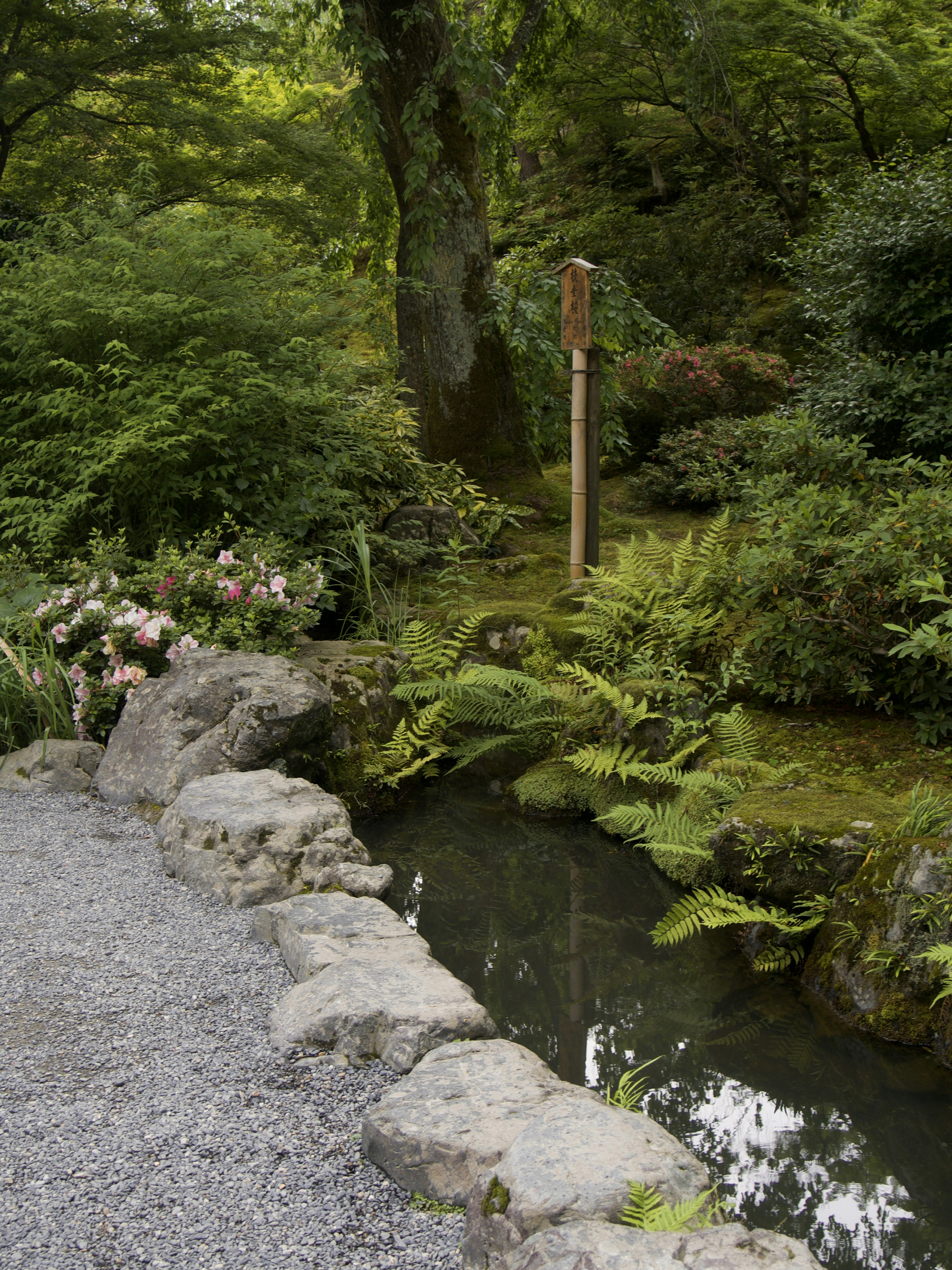 Lush garden scene featuring a stone path along a mossy stream, with ferns and flowering shrubs and a wooden post in the background. The composition emphasizes natural textures and a tranquil water feature.