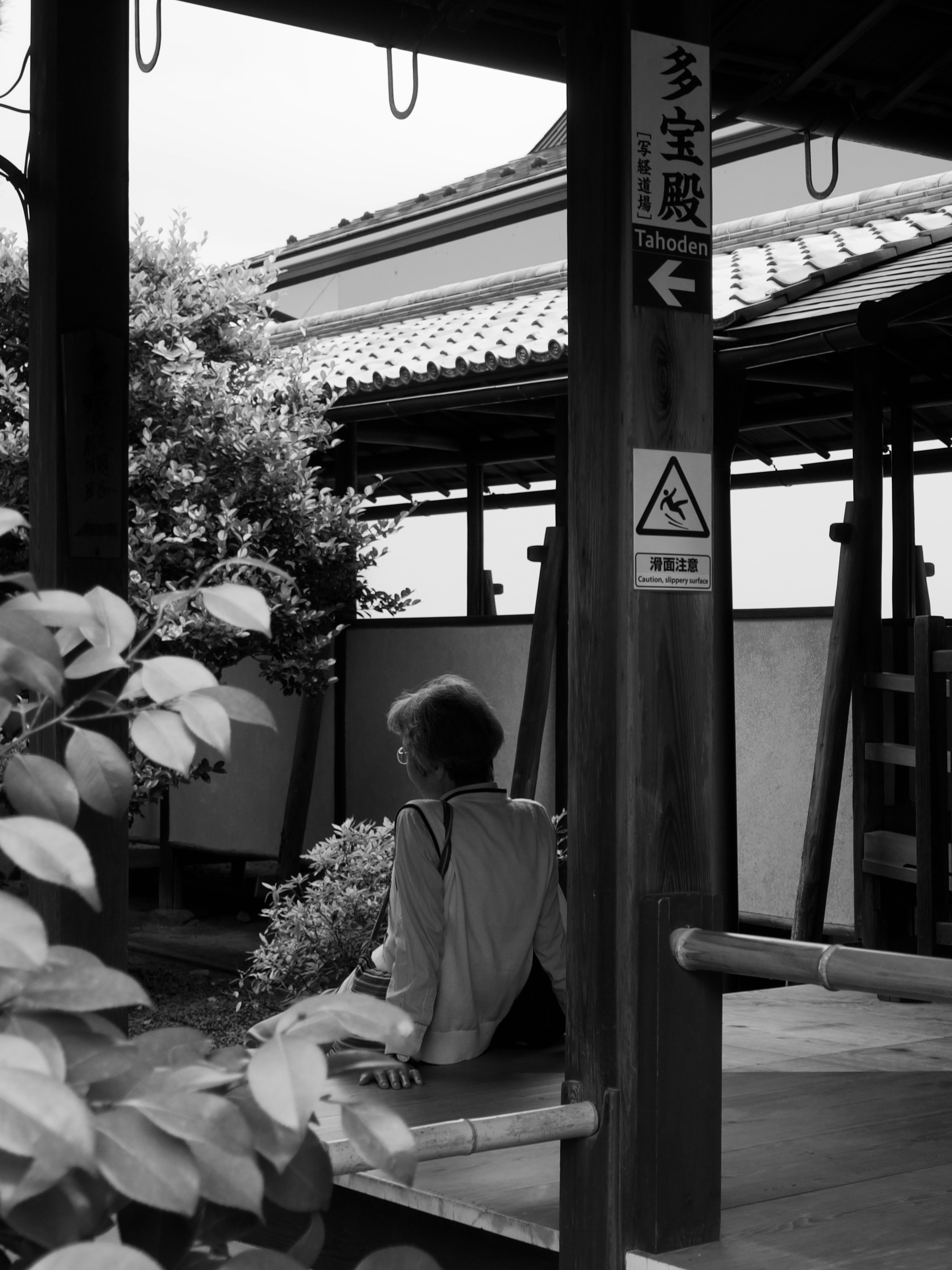 Quiet Corner: An Elder in a Traditional Wood Pavilion