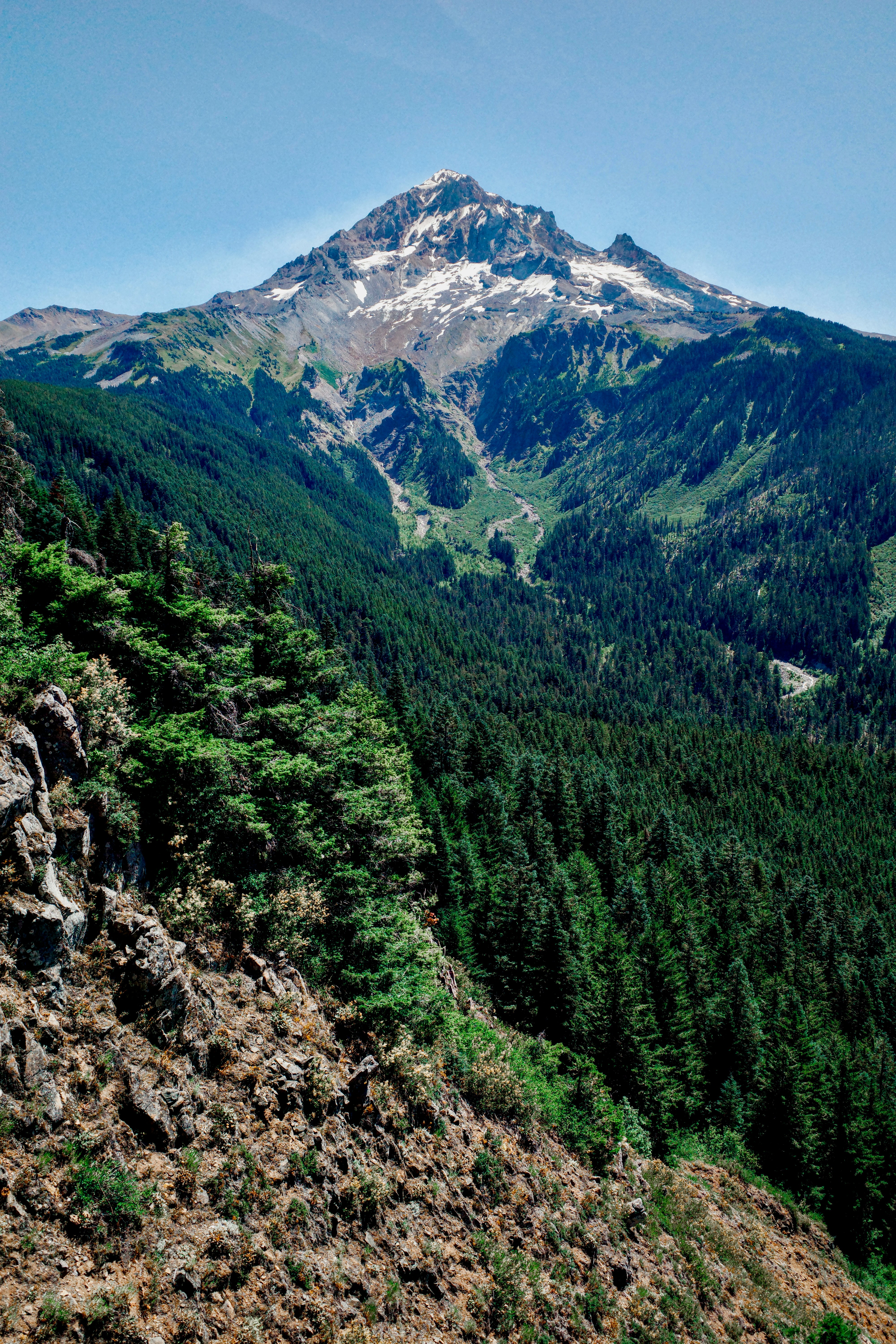Snow-capped Peak Over a Verdant Ridge