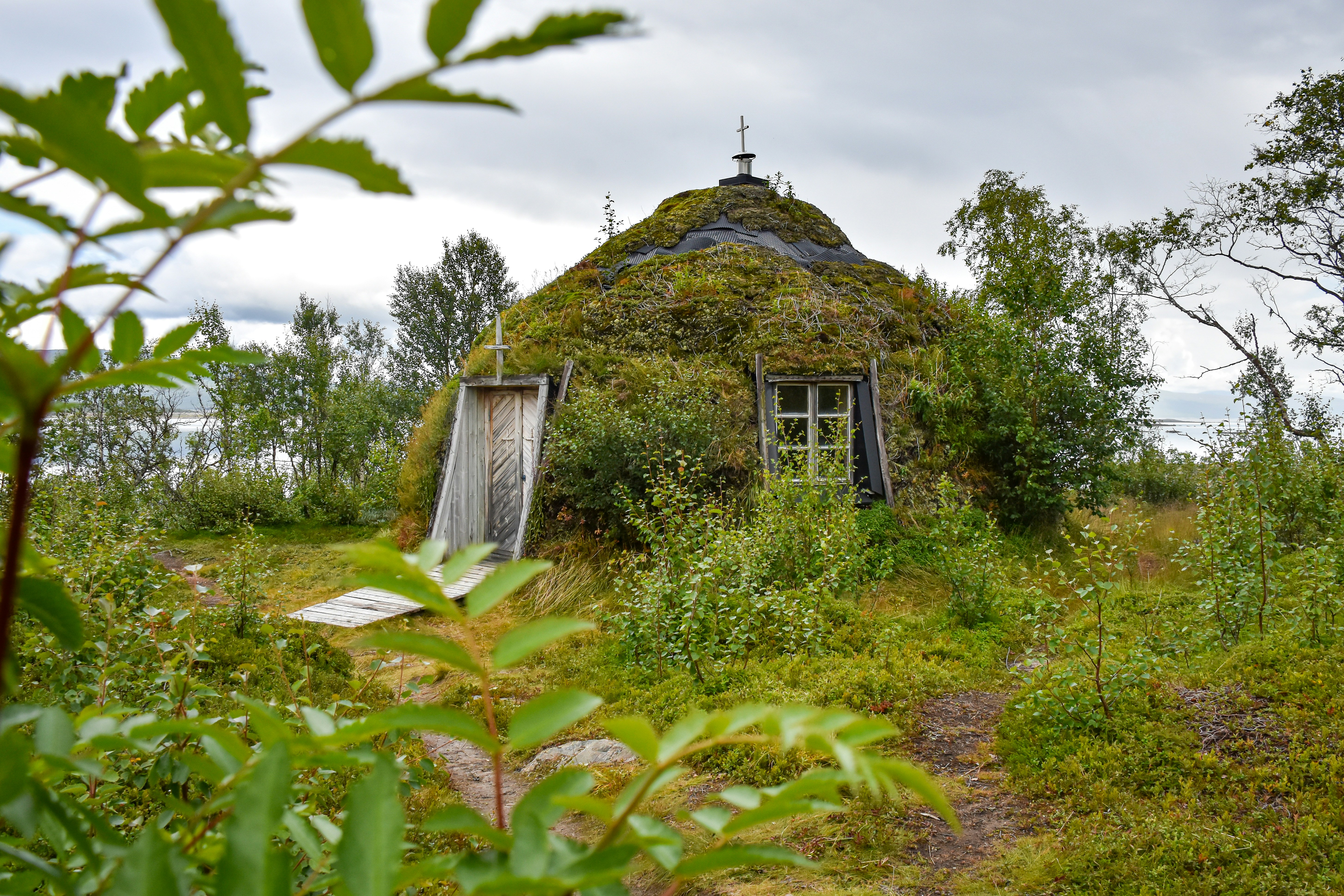 Hollow Hillhouse: Moss-Covered Shelter Amid Wild Greenery