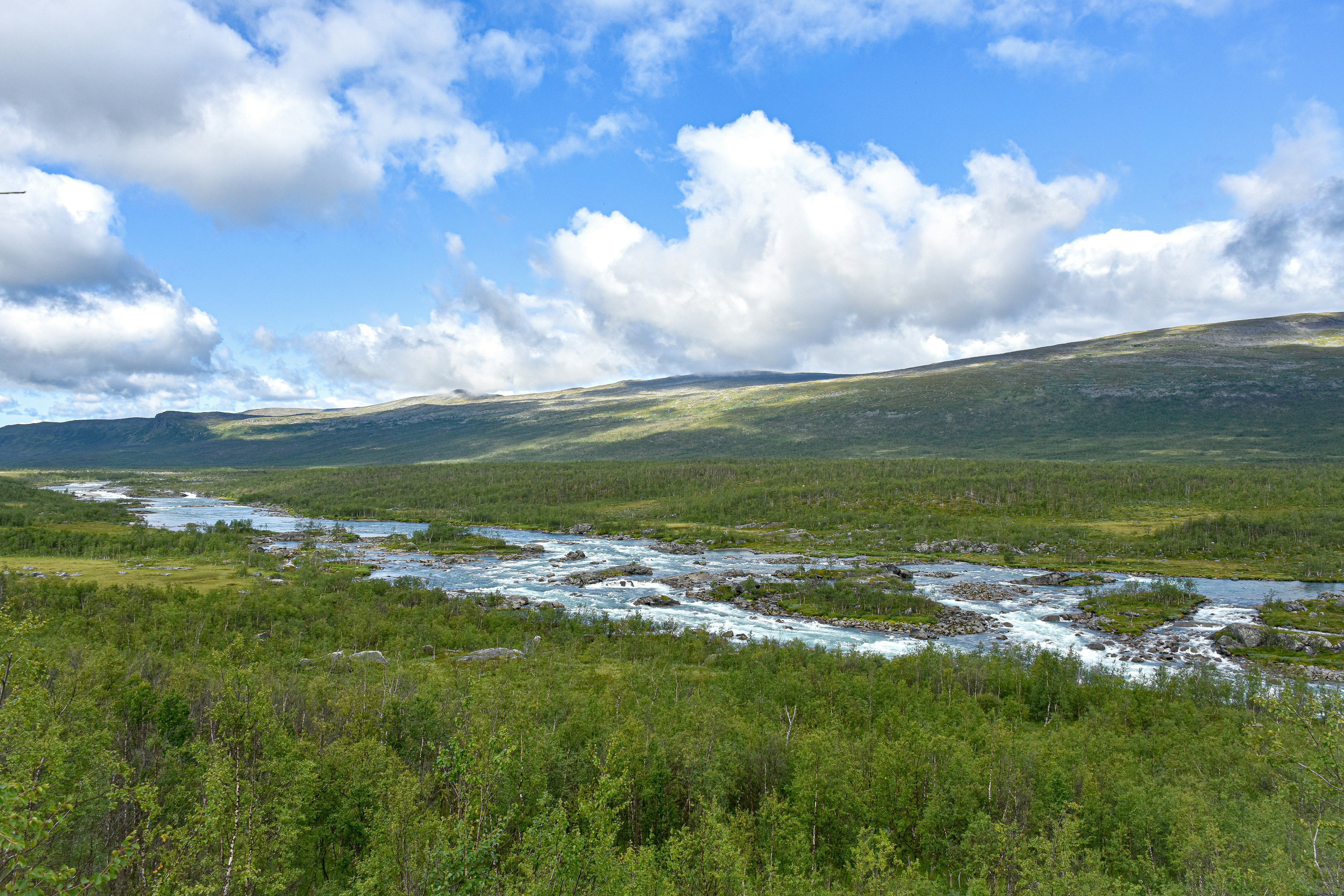 Broad Valley Under a Bright Canopy: Riverine Plains Meet Rolling Hills