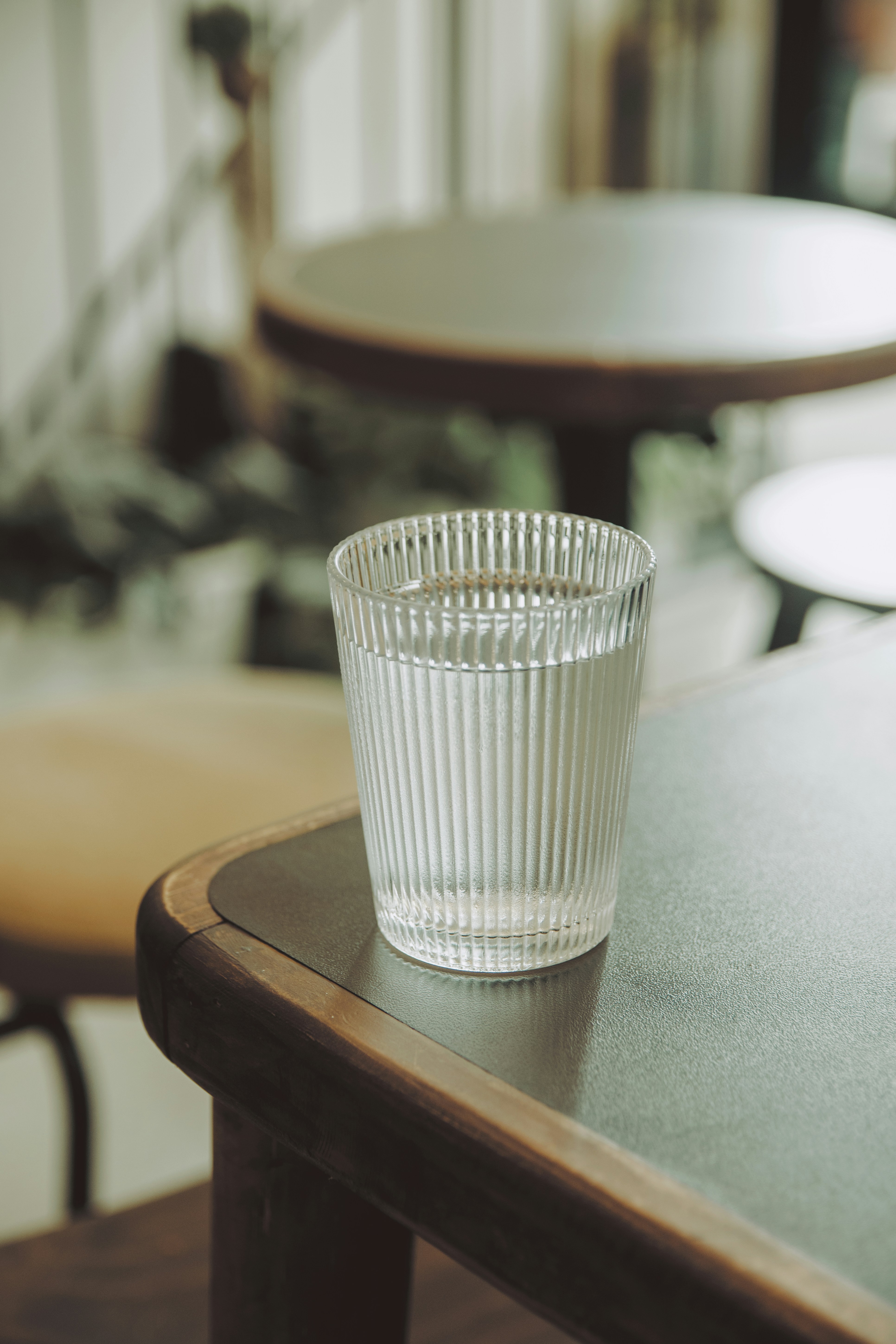 A Quiet Moment by the Edge of the Table