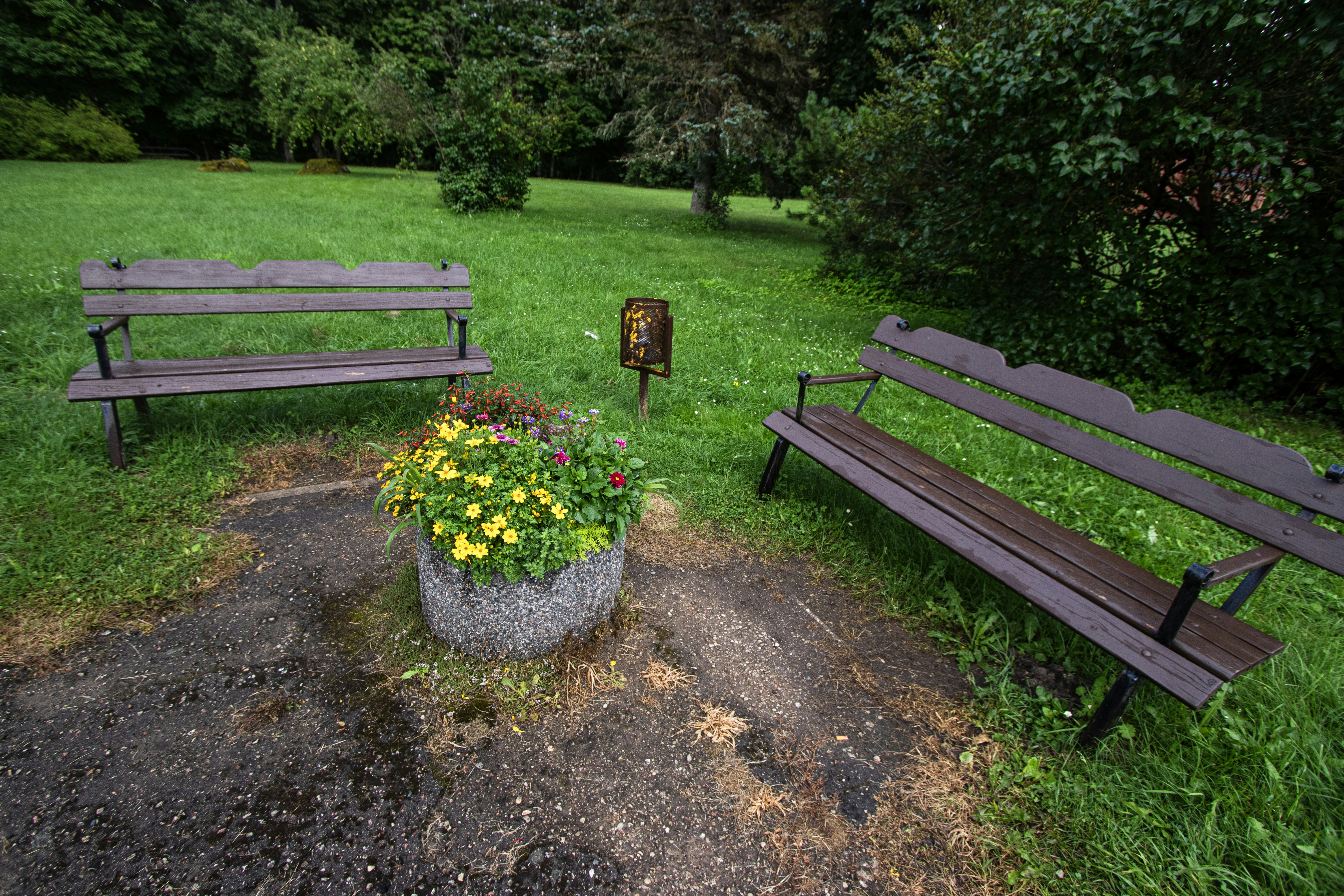 Central Flower Bed Between Benches in a Quiet Park Clearing