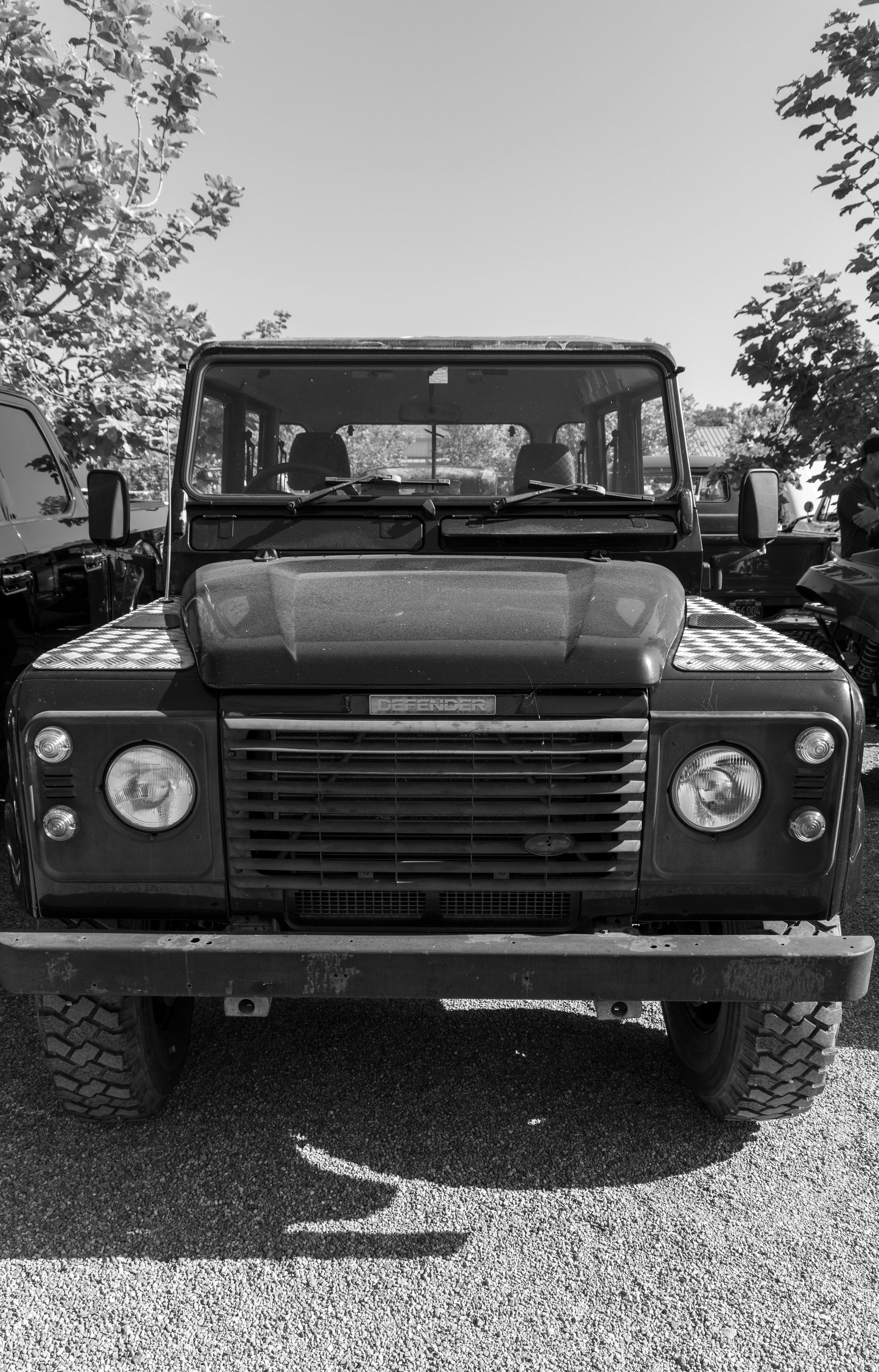 Front-Seat Sentinel: A Bold Land Rover Bares Its Grit