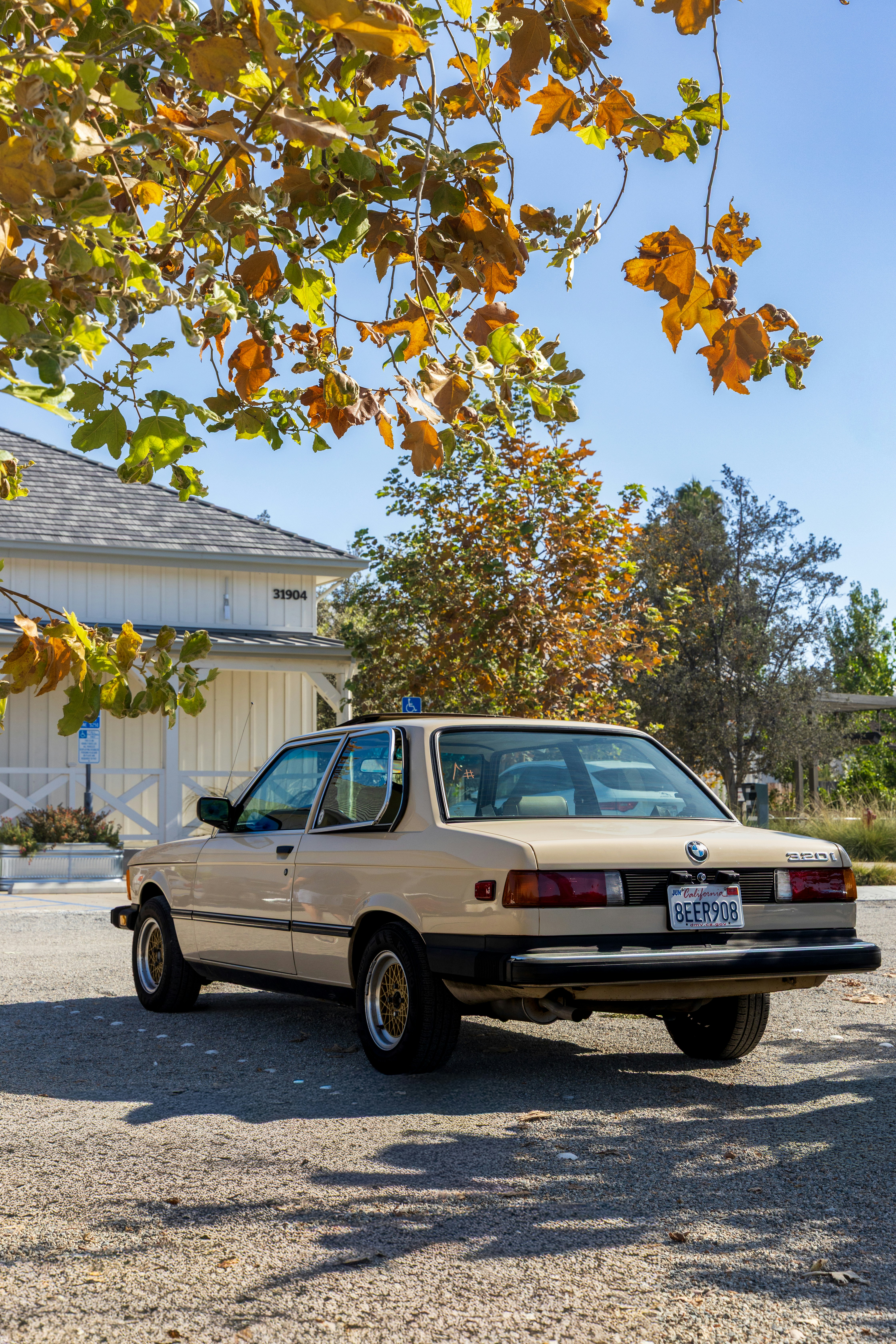 Beige BMW parked under autumn leaves beside a suburban building