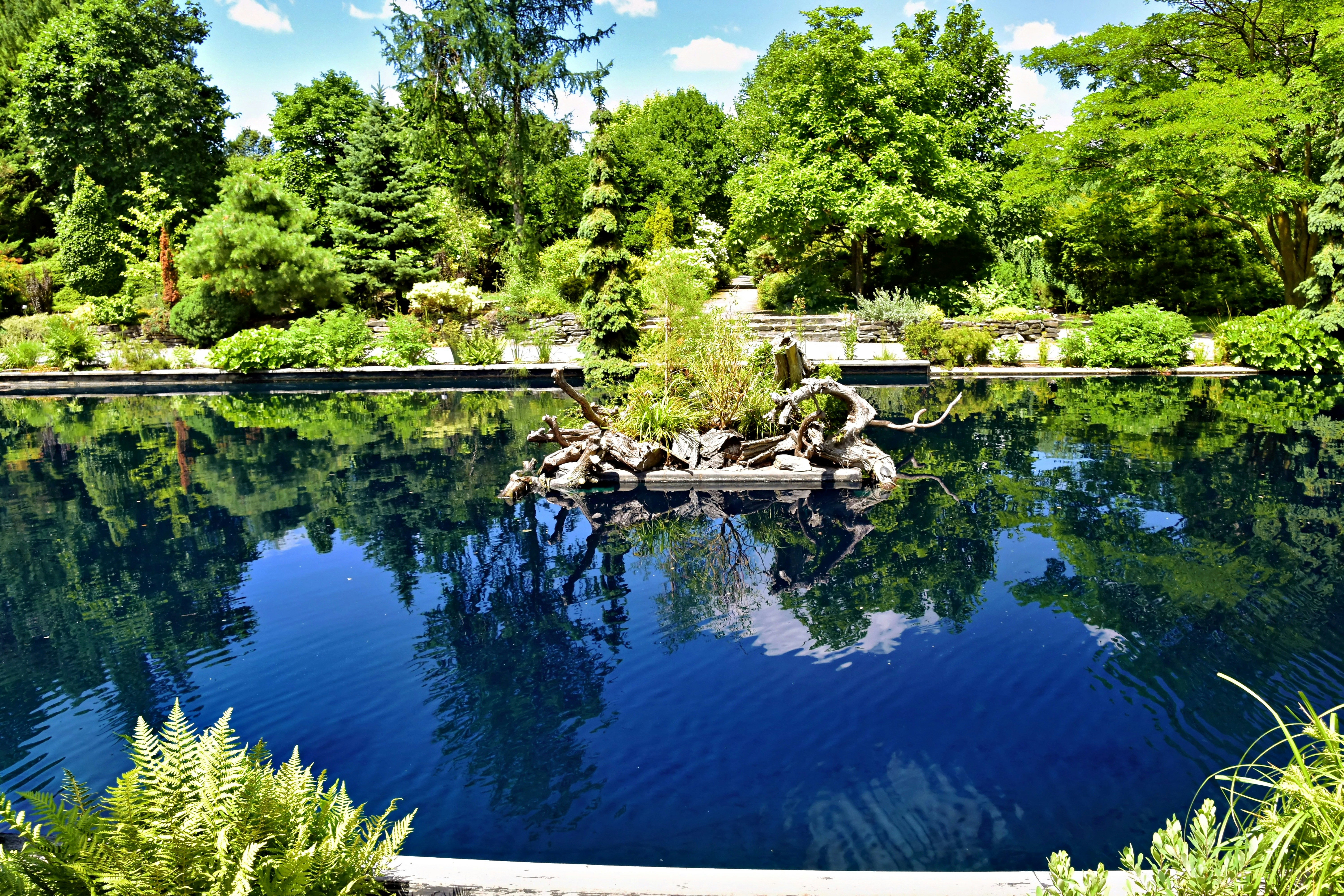 Serene Dragon Boat in a Glassy Garden Pool