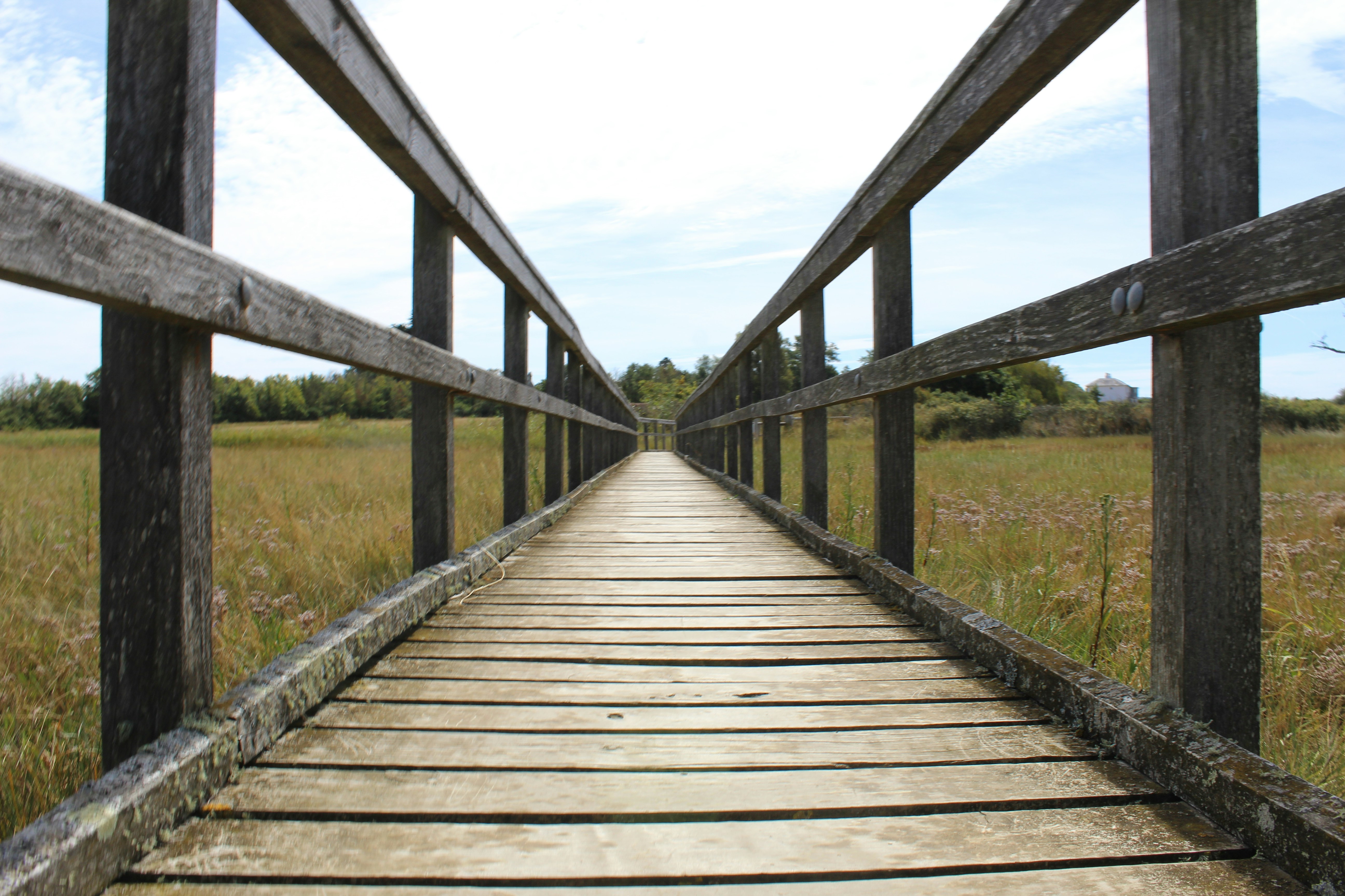 Long Walk Through a Quiet Meadow Bridge