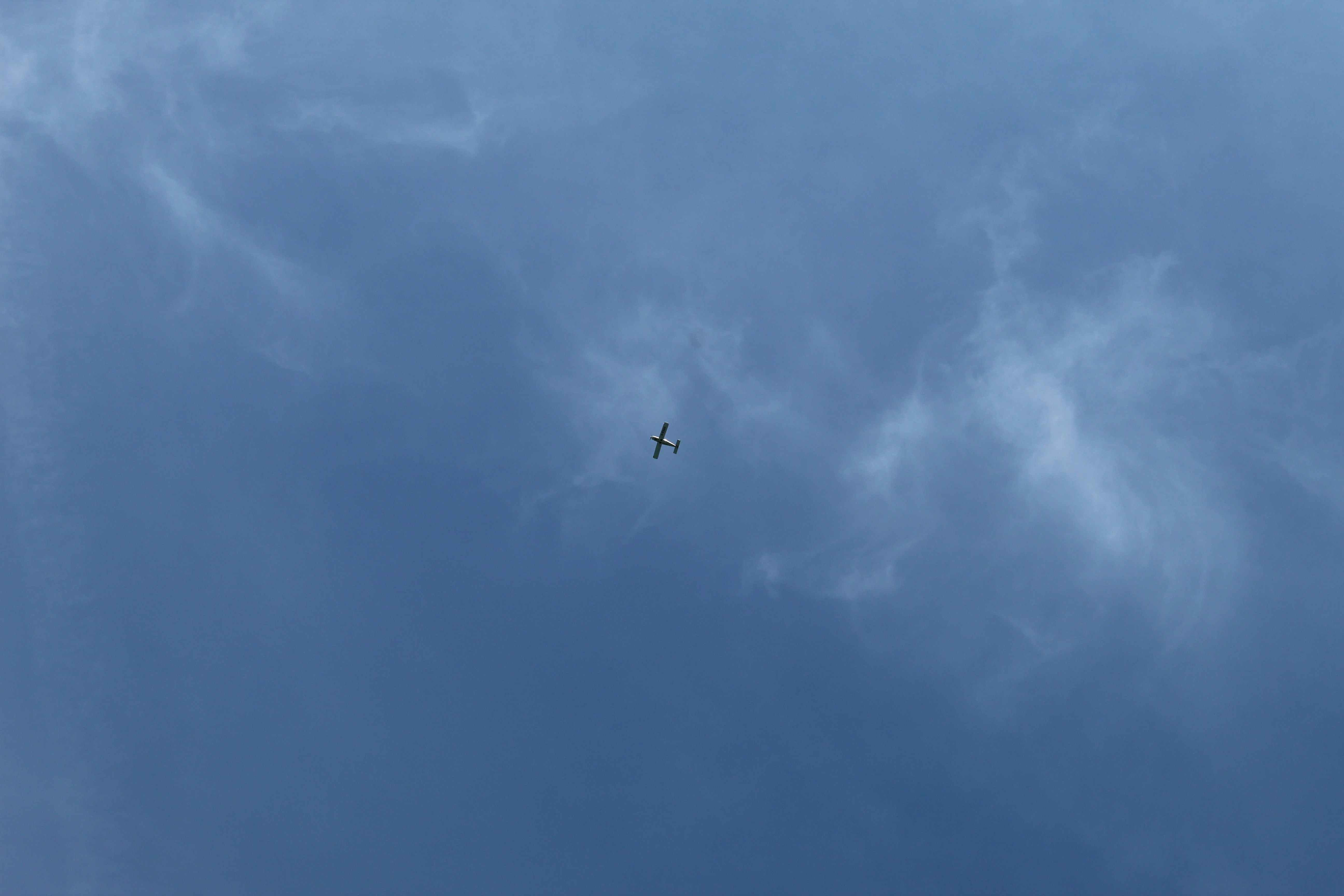 Isolated Vulture in a Vast Blue Dome