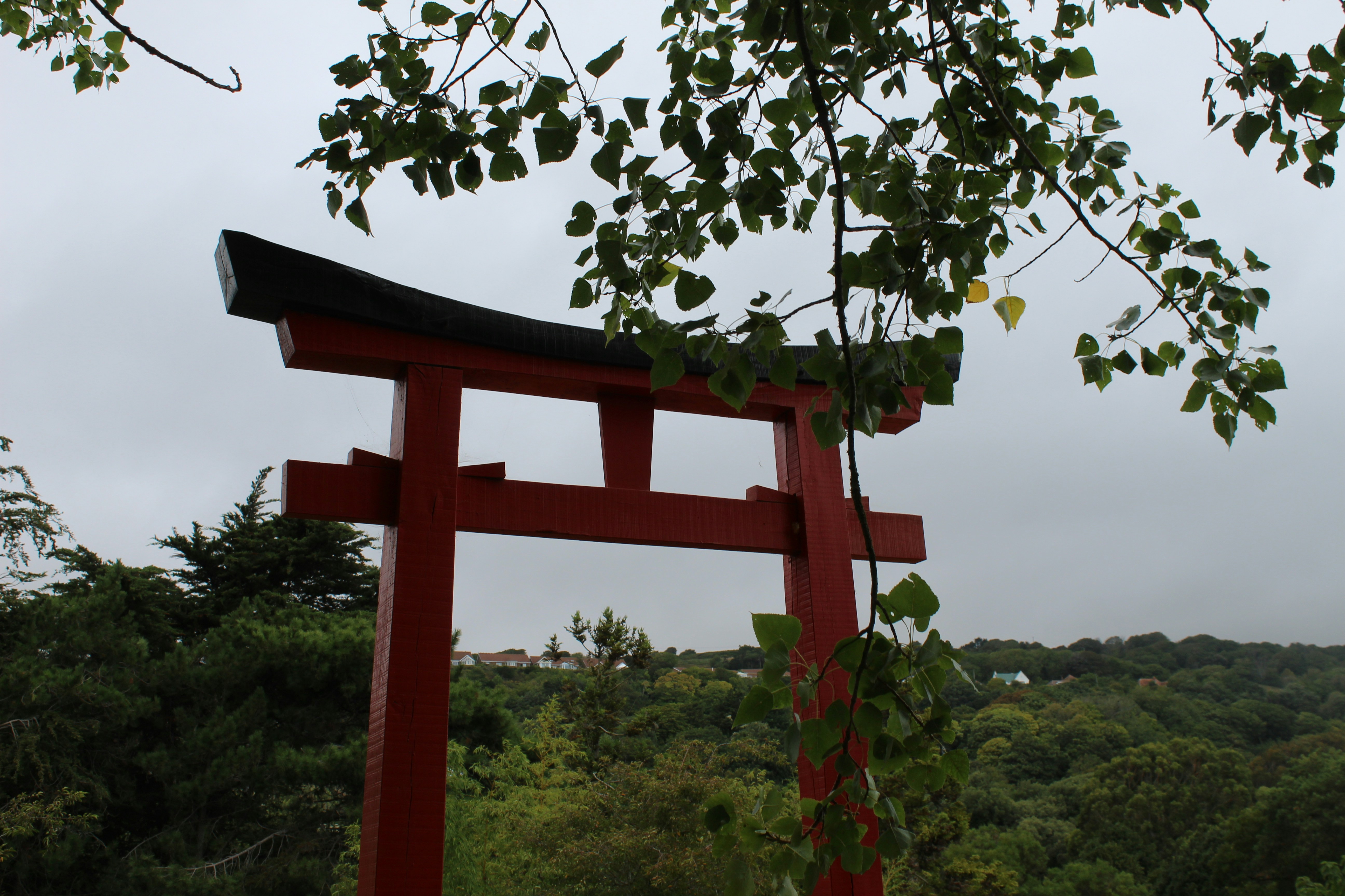 Red Torii Gate Peeking Through Green Canopy Over a Verdant Landscape
