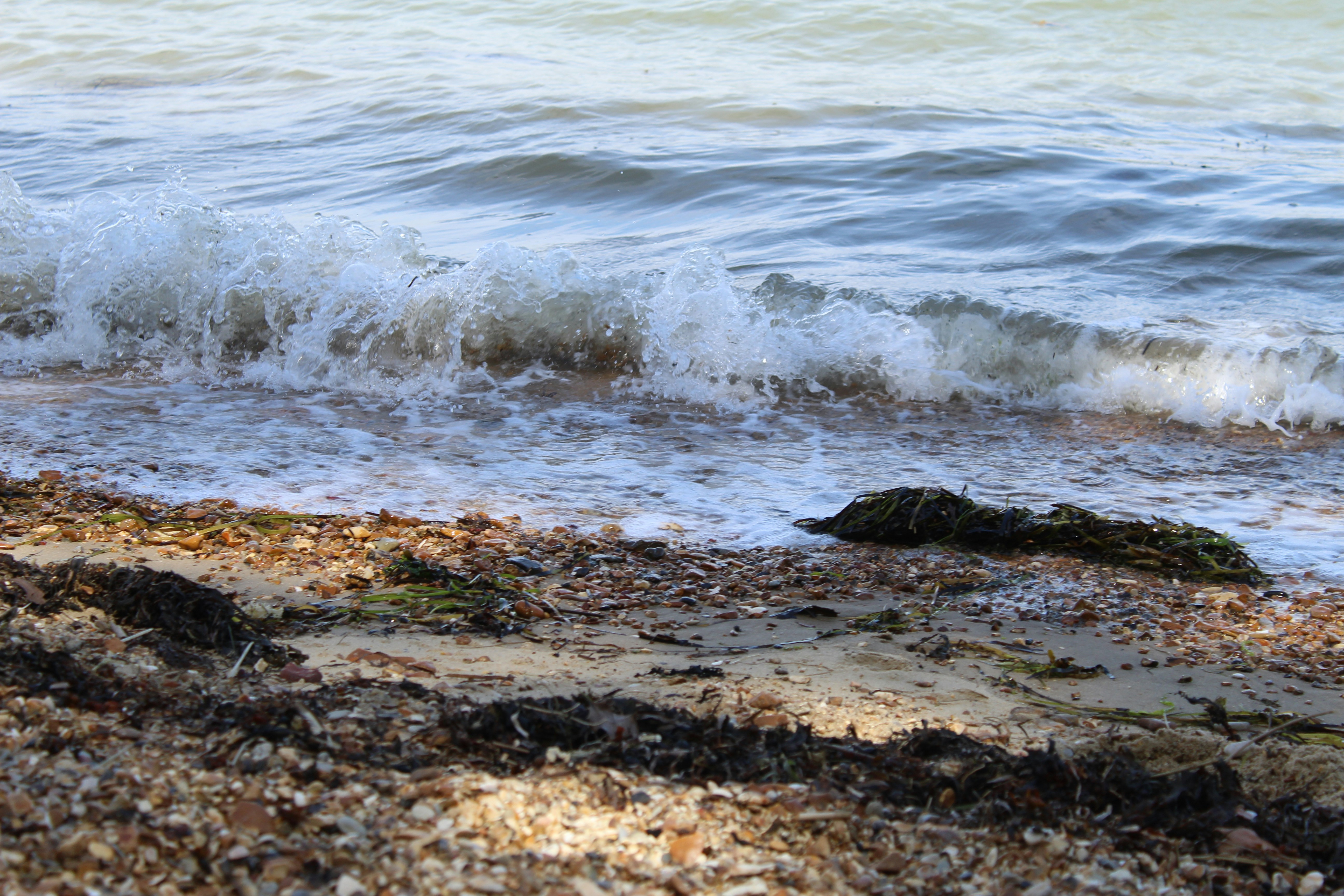Foam on Pebble Shoreline at Dawn