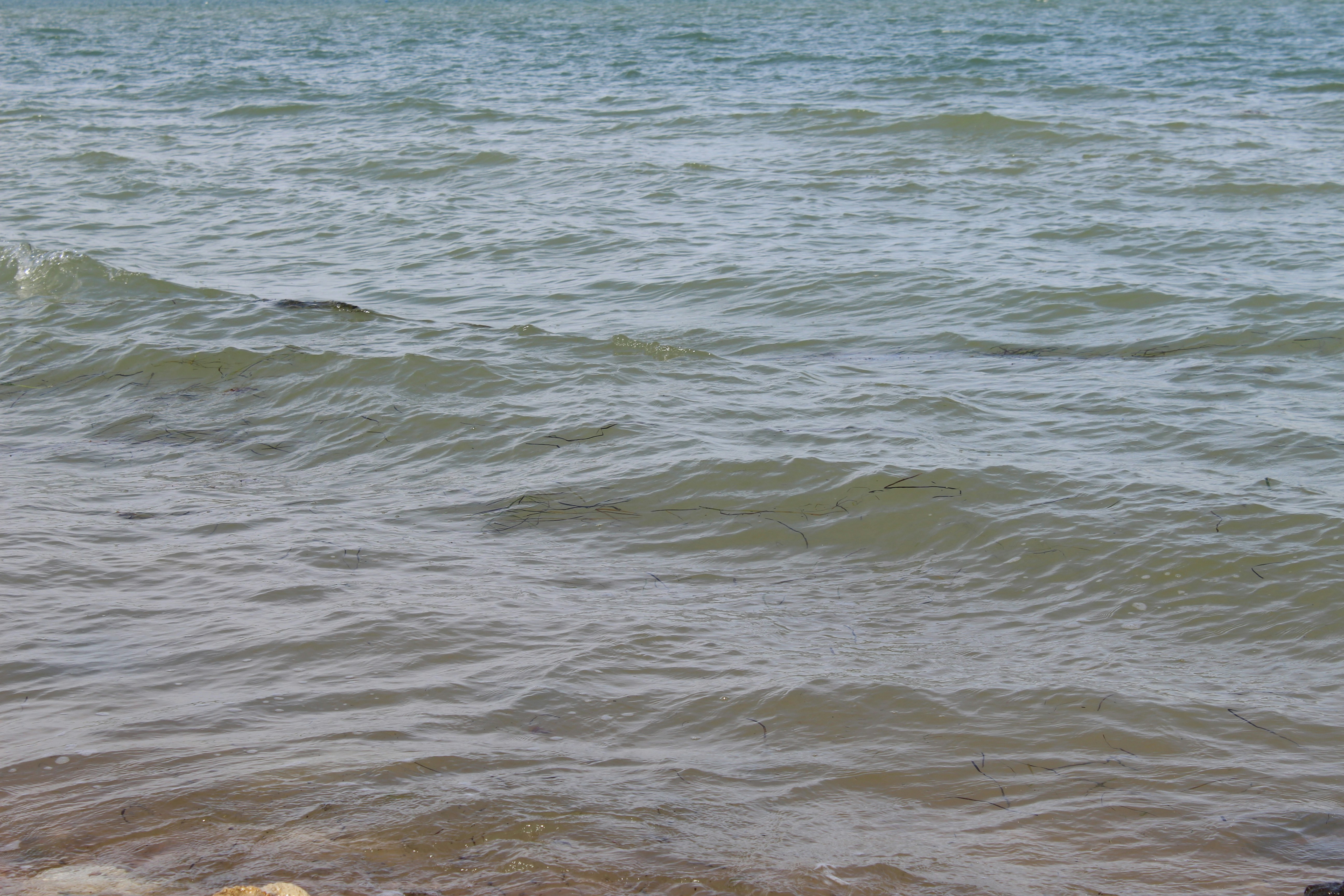 Quiet shoreline: distant waves meet gentle shallows