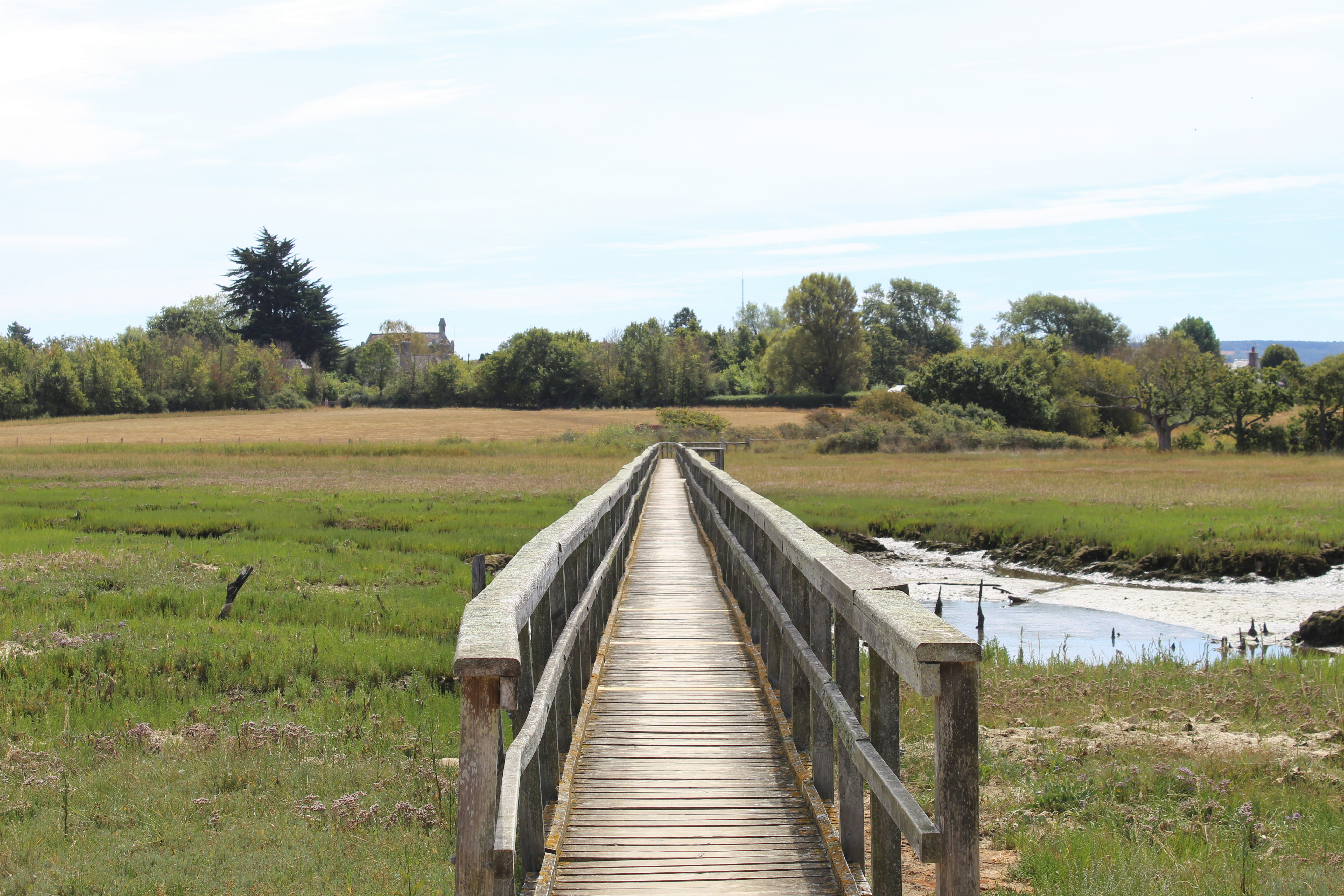 Bridge to the Wide Horizon