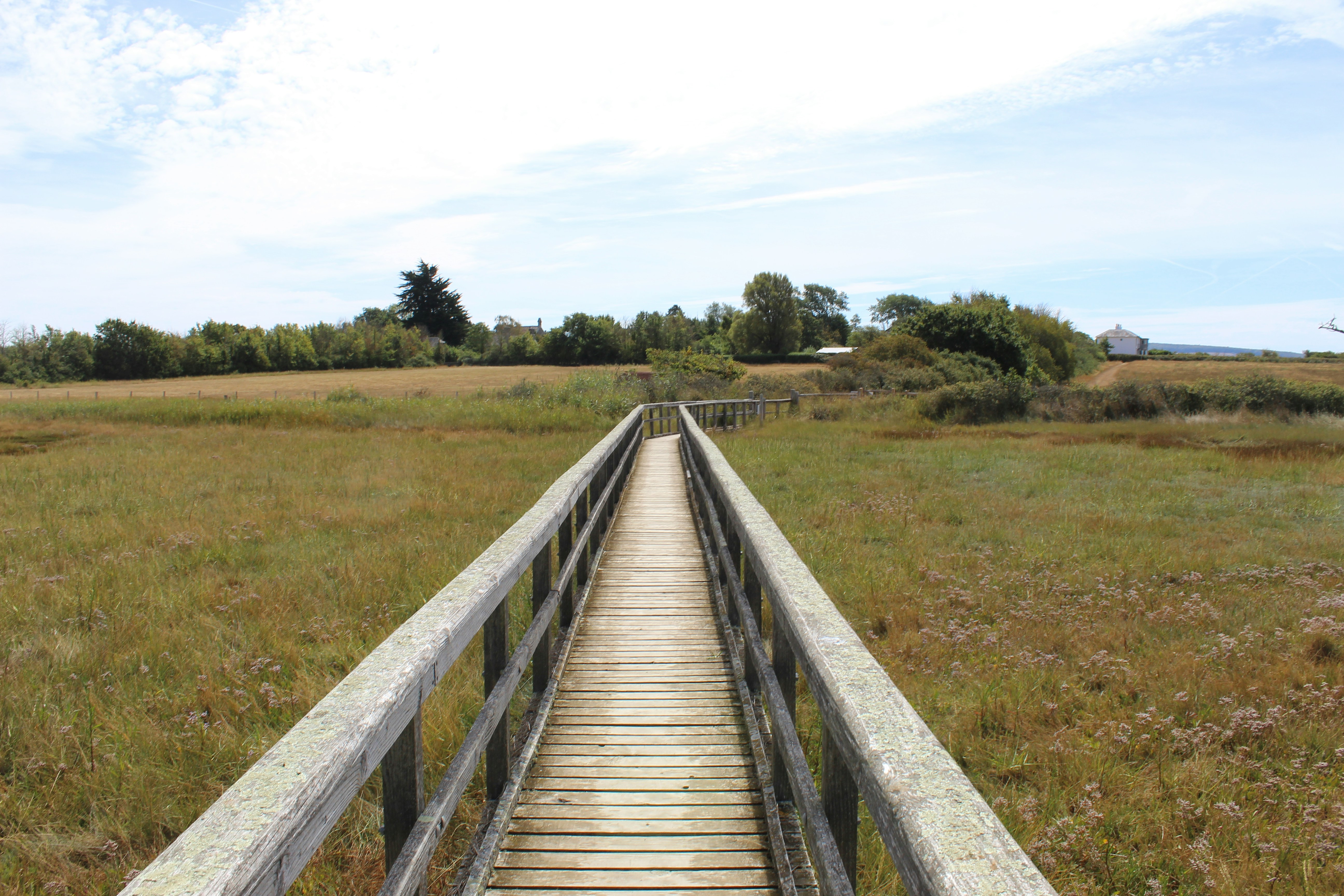 Boardwalk Arrow to the Horizon