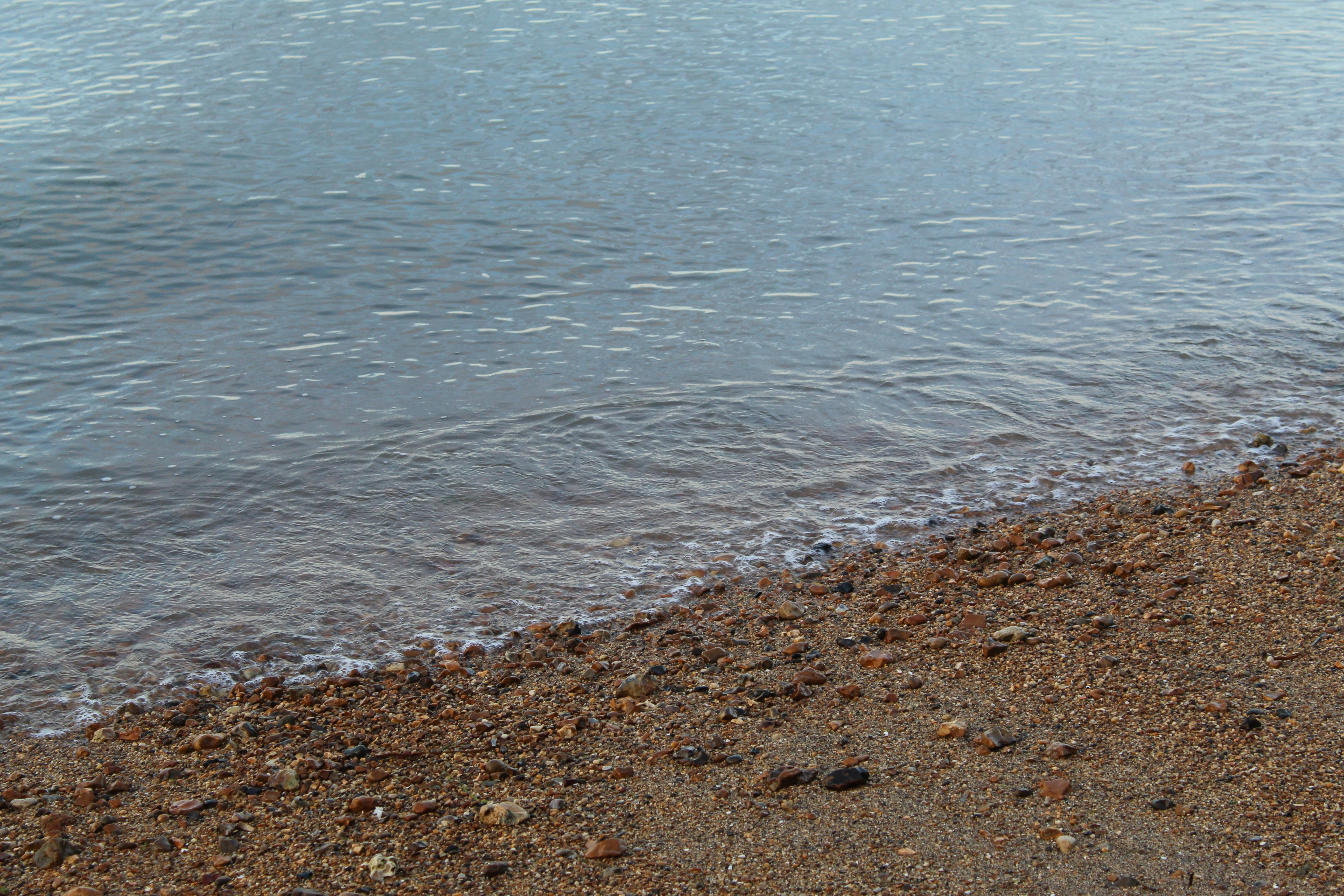 Shoreline Mosaic: Pebbles Meet Quiet Water