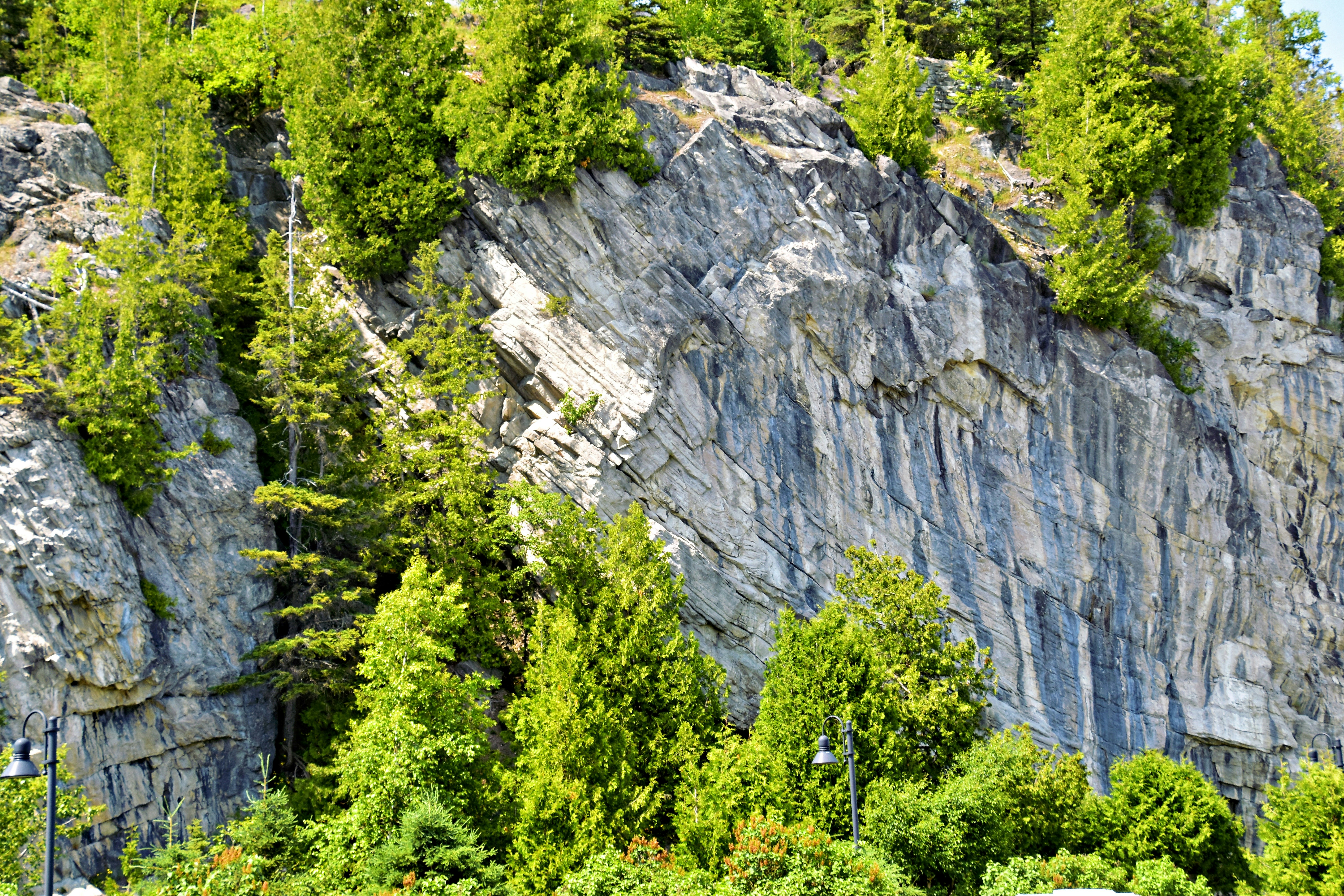 Sunlit Cliff Face with Evergreen Ribbon