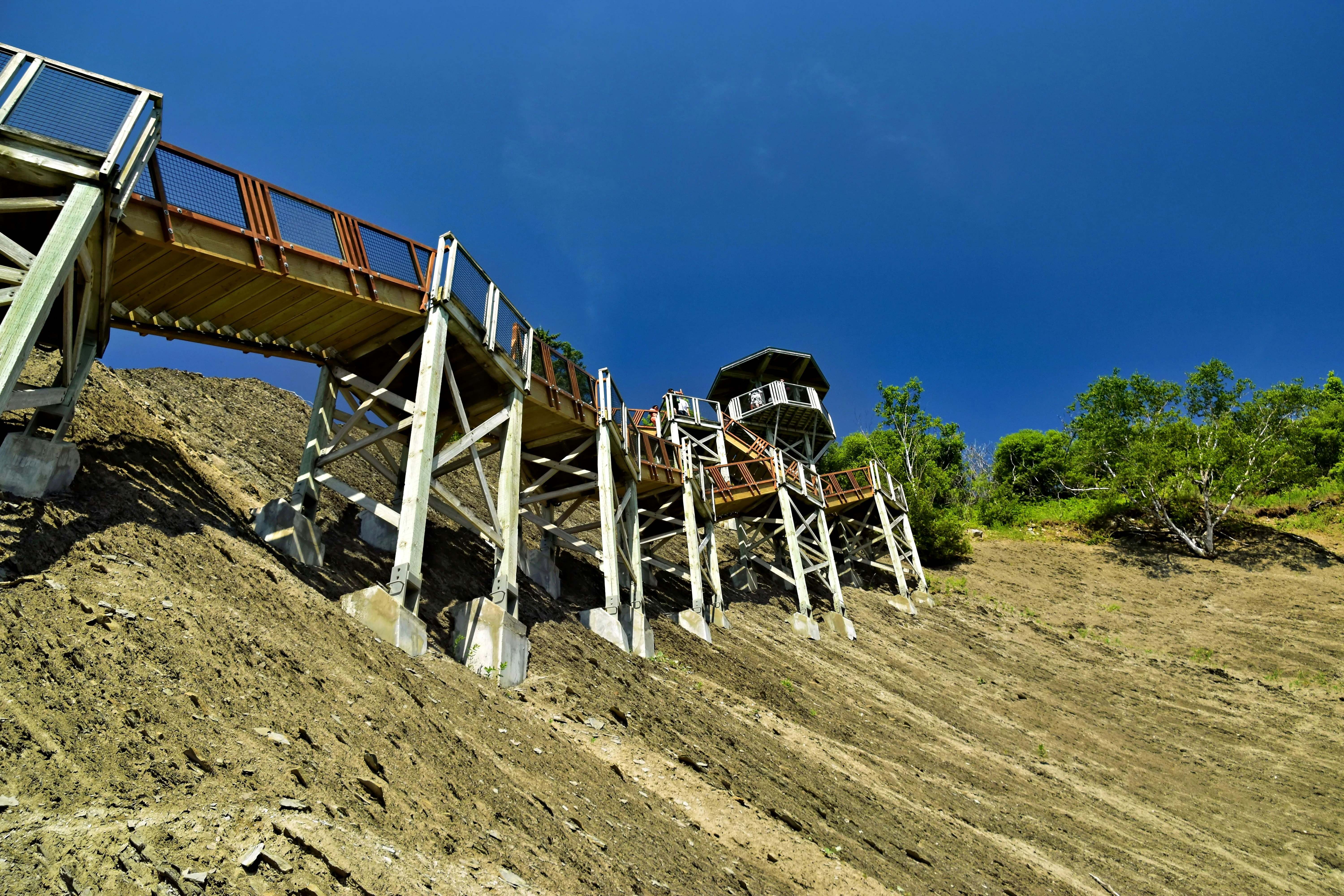 Terraced Timber Path: A hillside boardwalk toward a lookout on a sunny slope