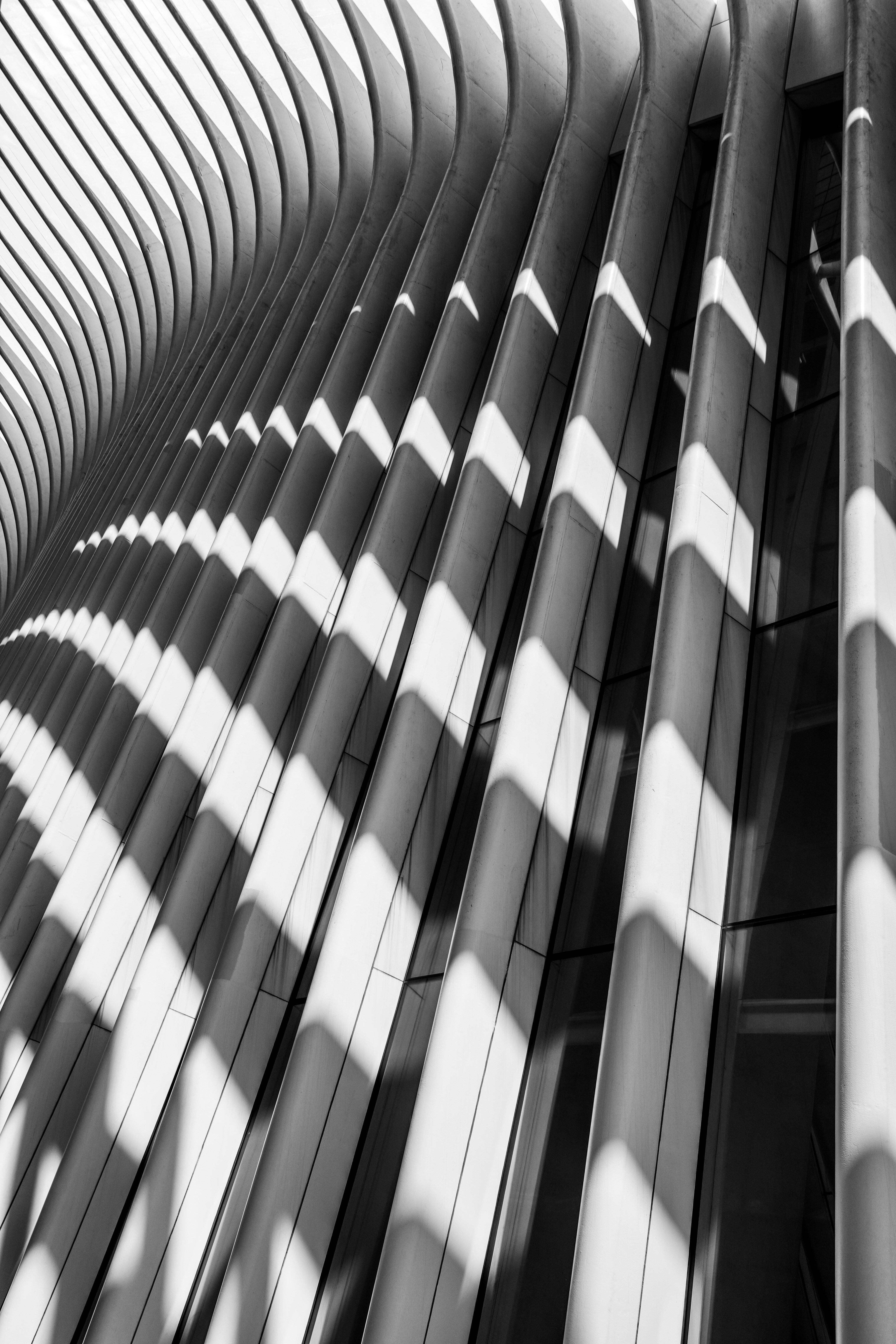 Ribbed Light: A Wave of Shadows on a Structural Facade
