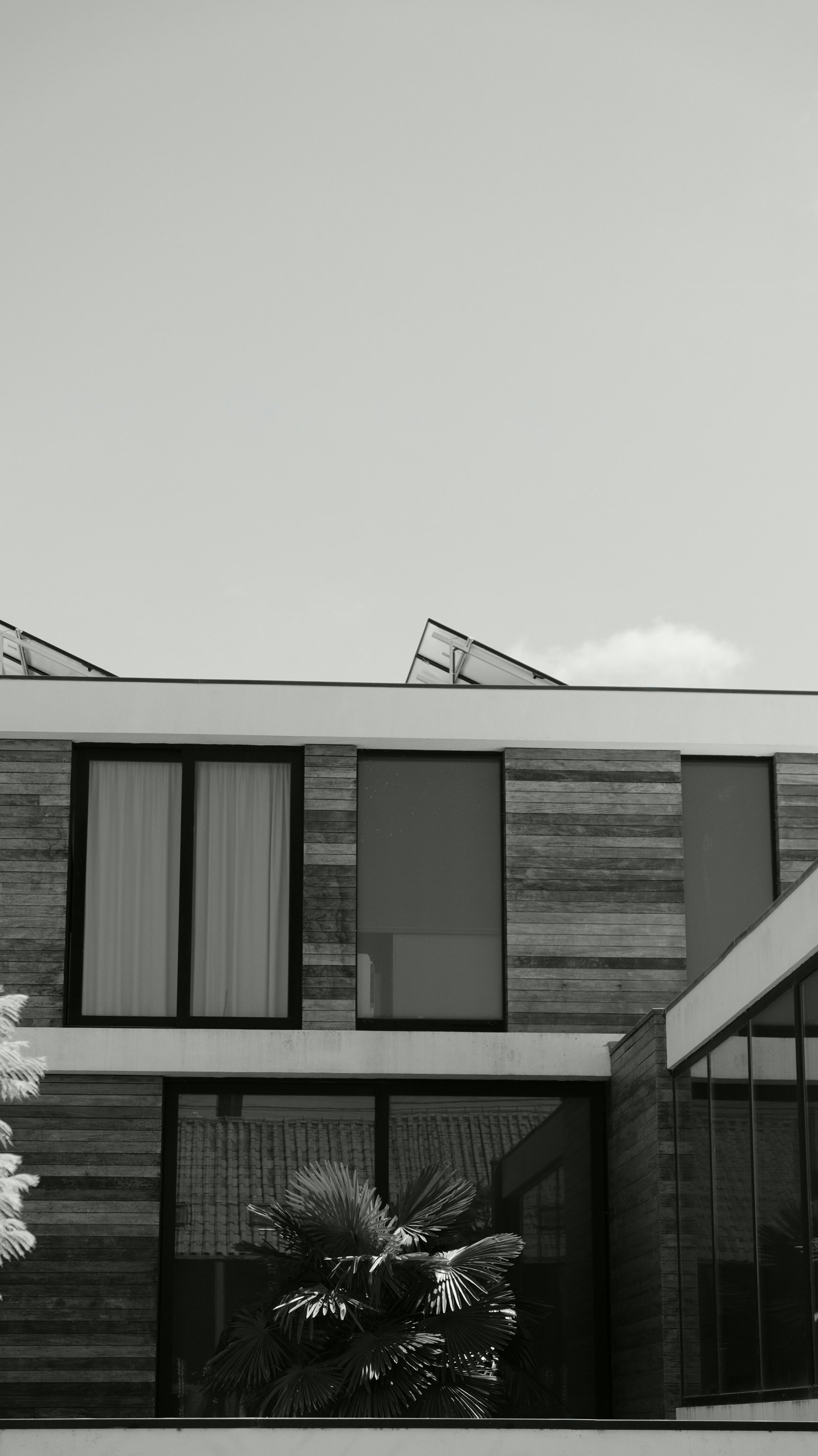Monochrome Modern: Facades and Fronds Under a Starlit Sky