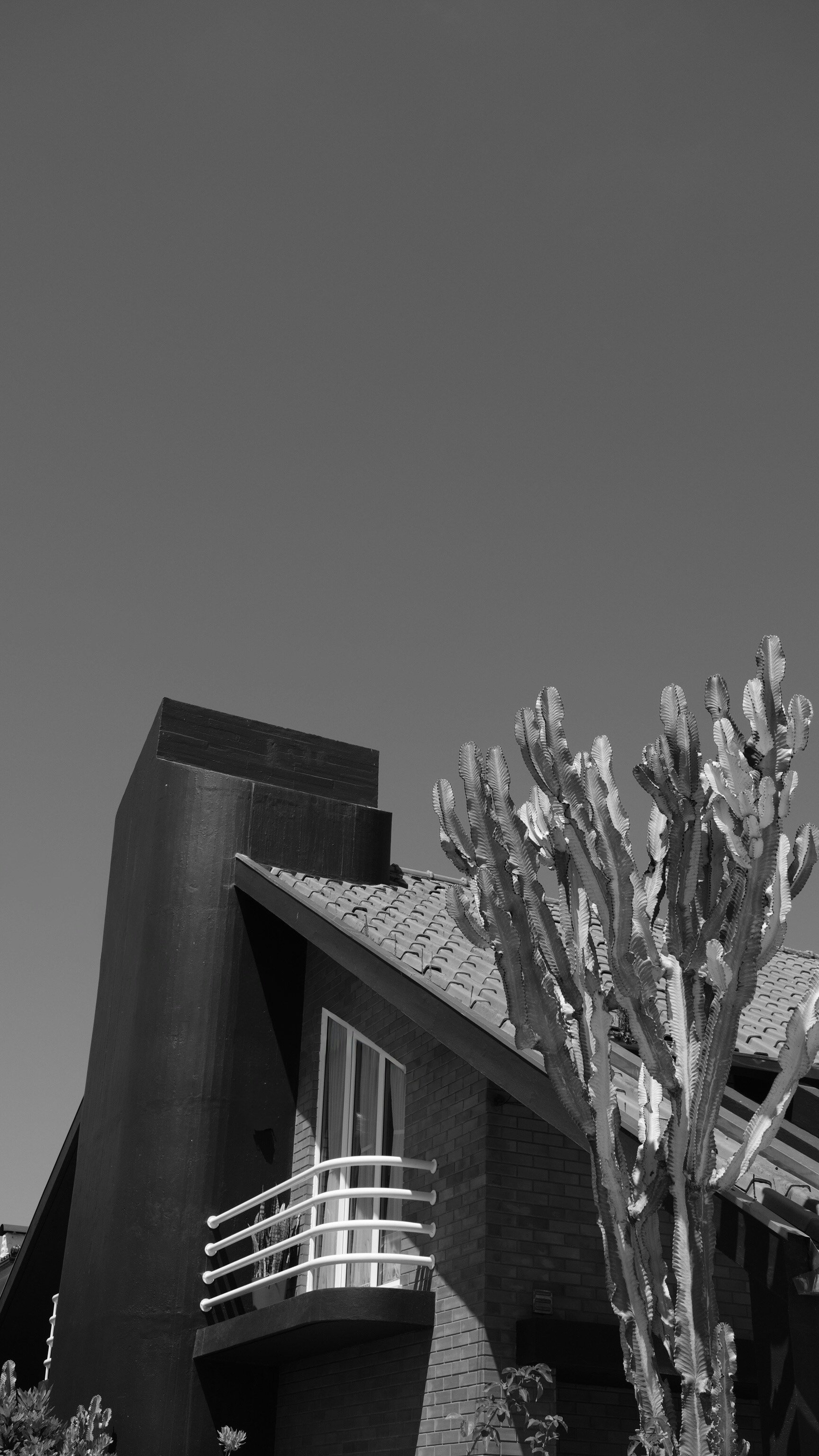 Mid-Century Facade and Cactus: Quiet Desert Architecture