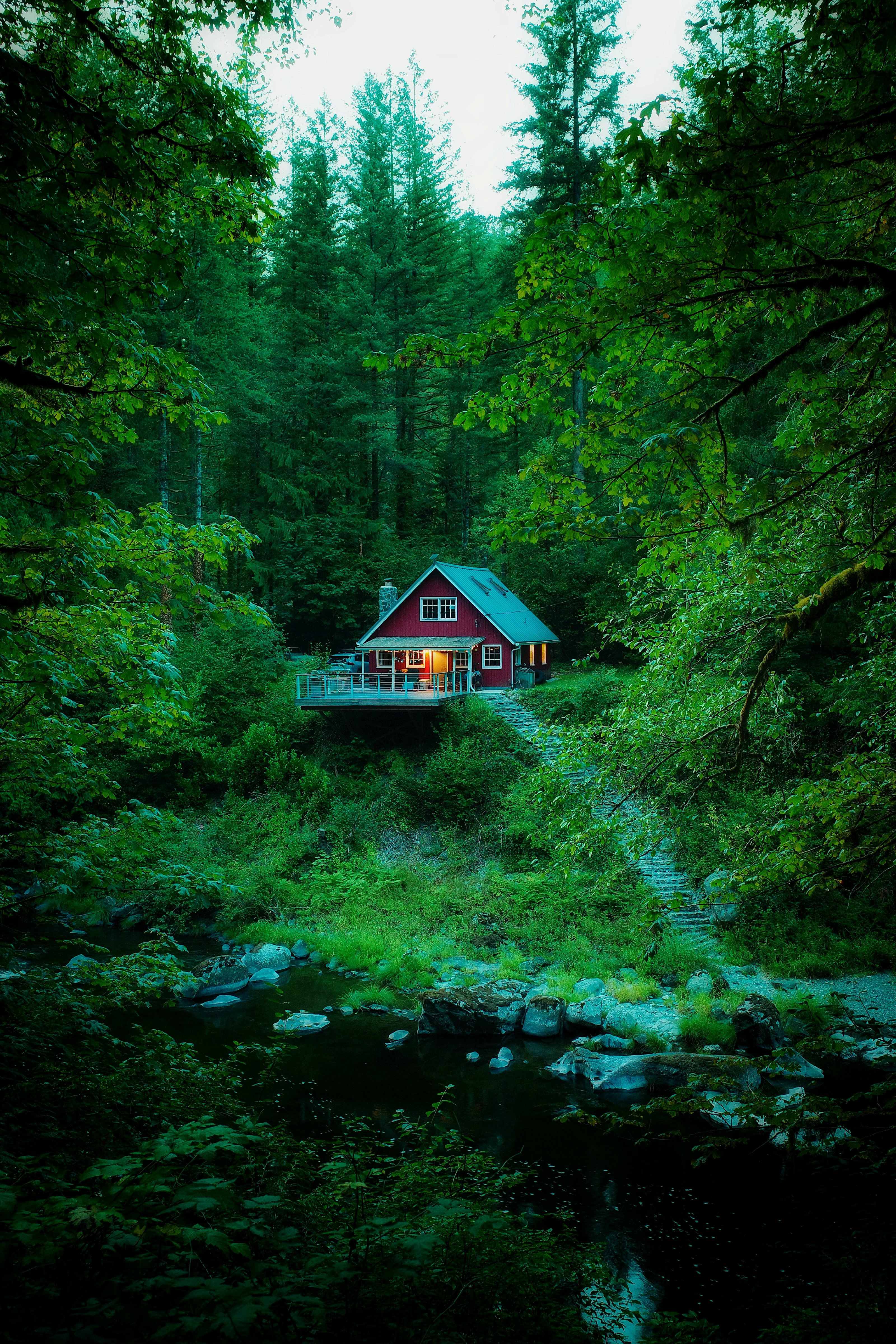 Red Cabin Amid Forest Quiet: A Riverside Retreat