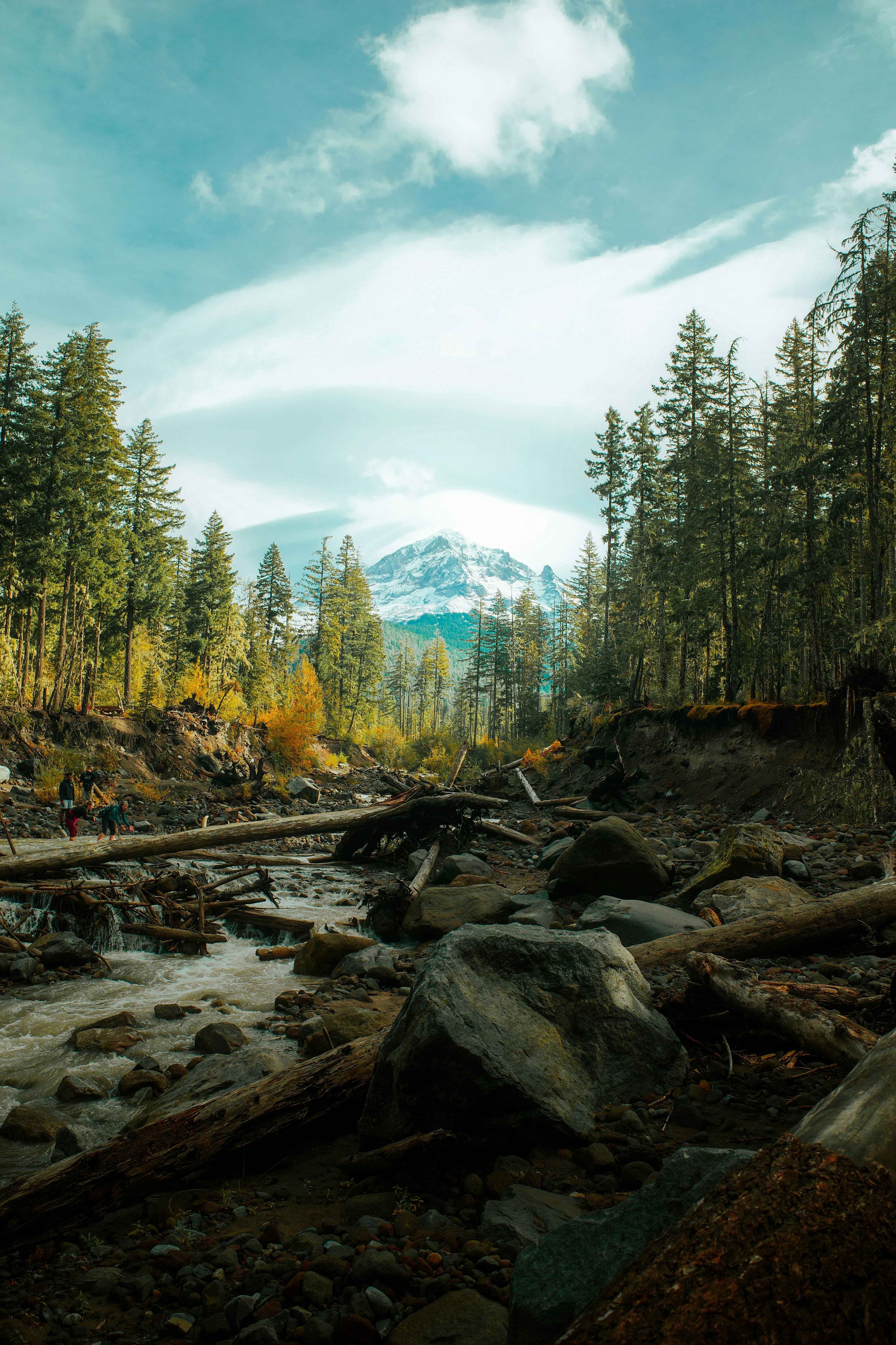 Forest Torrent toward a Snow-Capped Peak