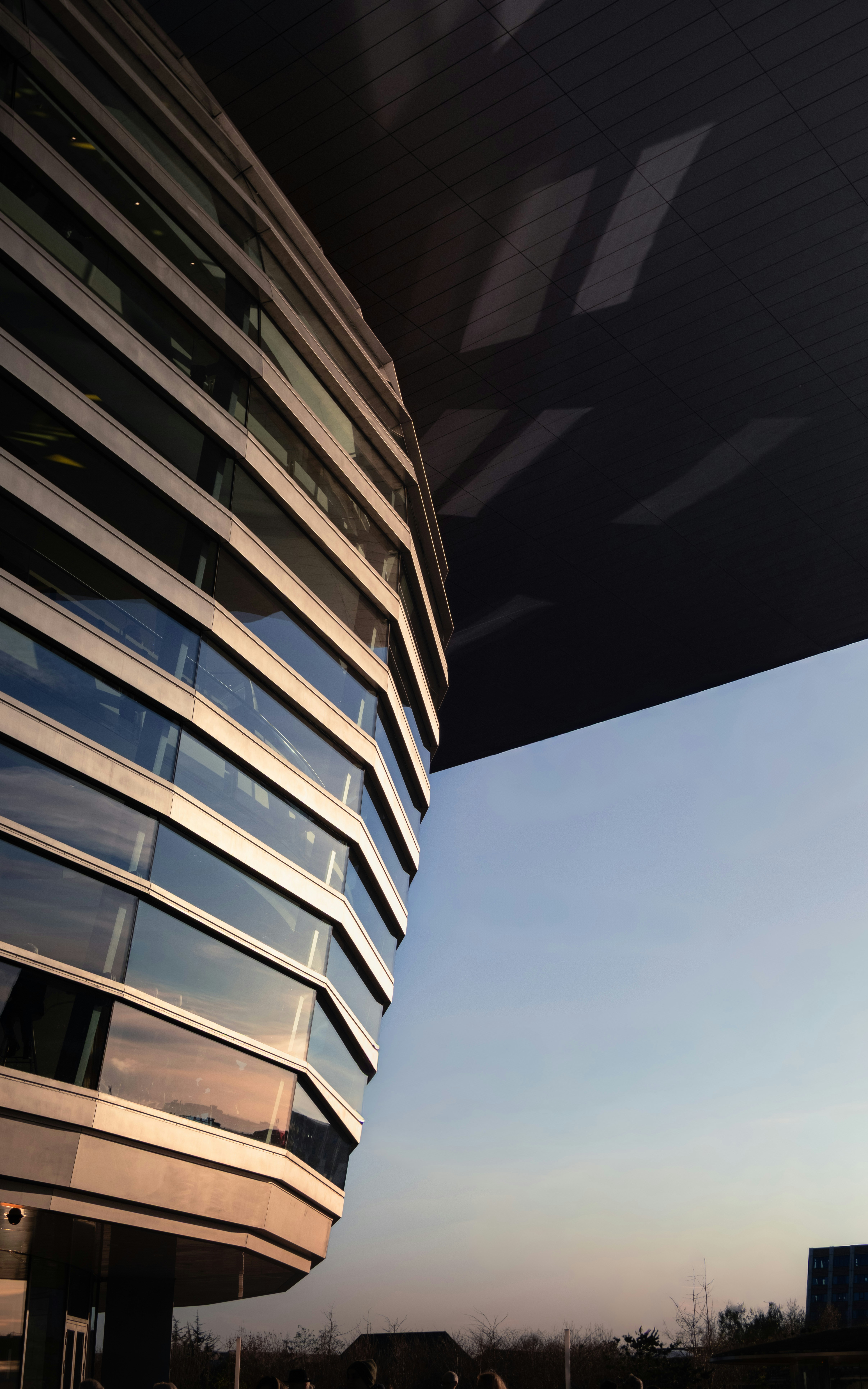 Curved Glass Facade Reaching Toward the Evening Sky