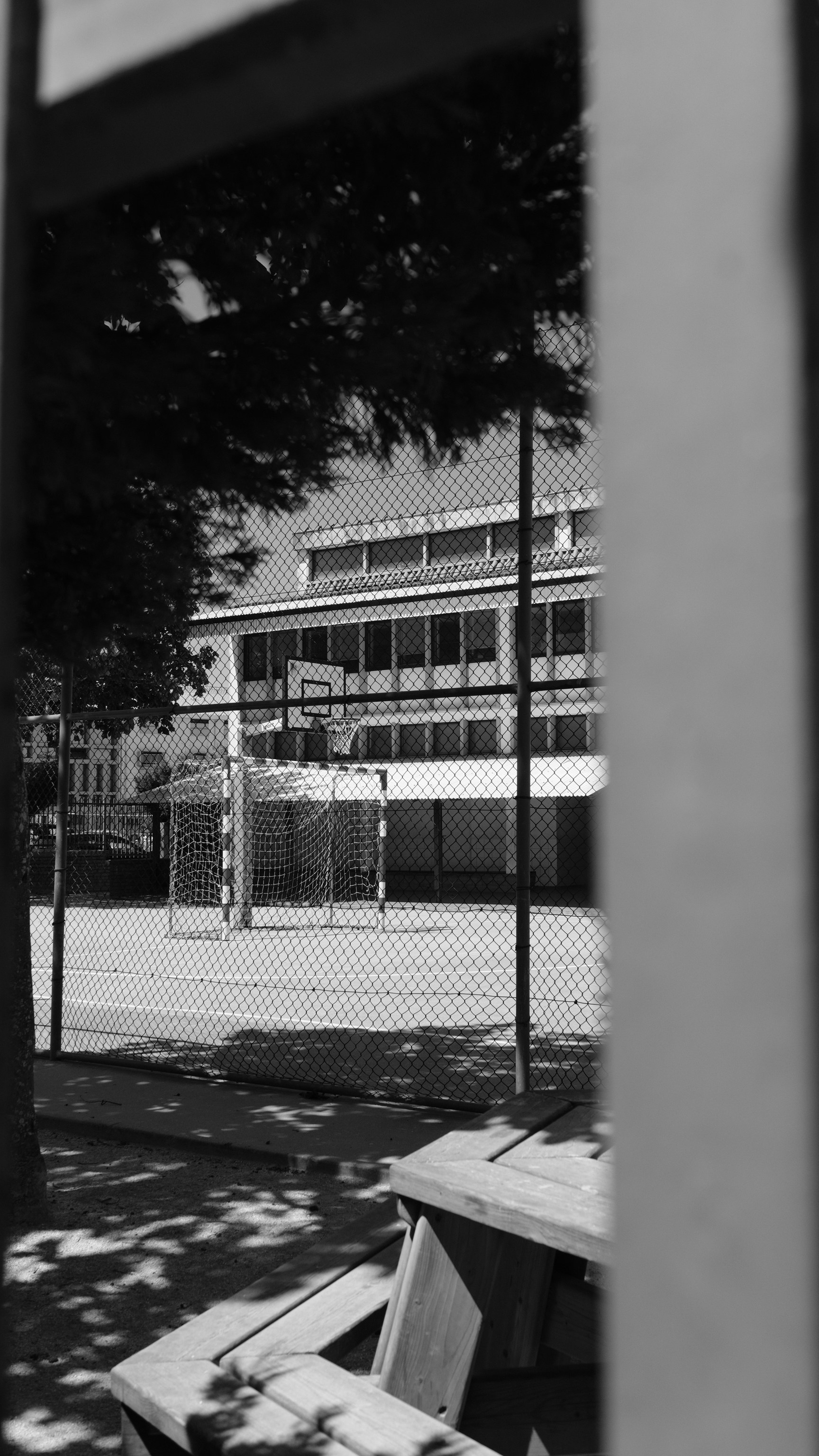 Sunlit Court Behind the Fence