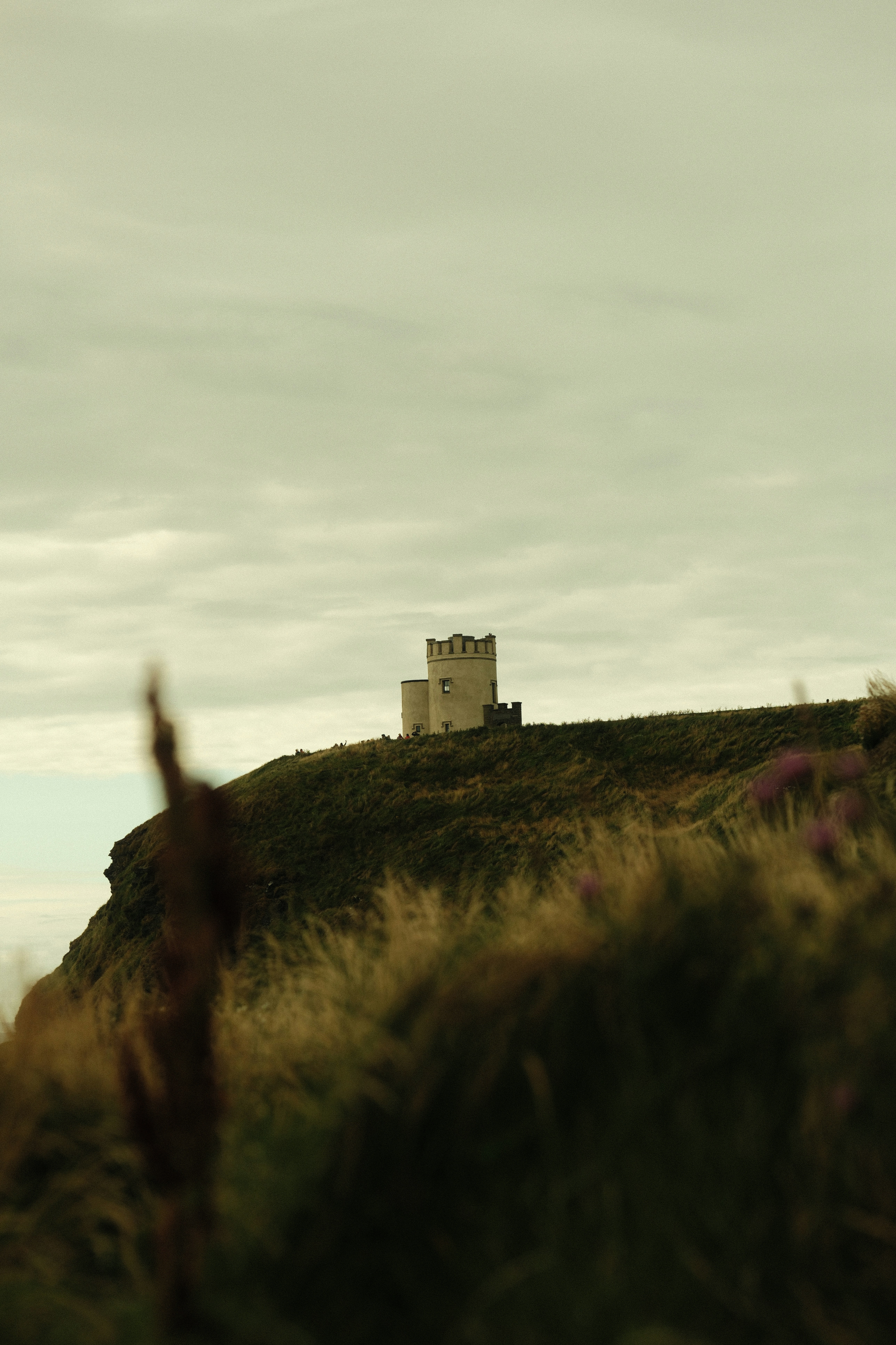 Cliff-top Turret: A Secluded Keep Amid Coastal Grass