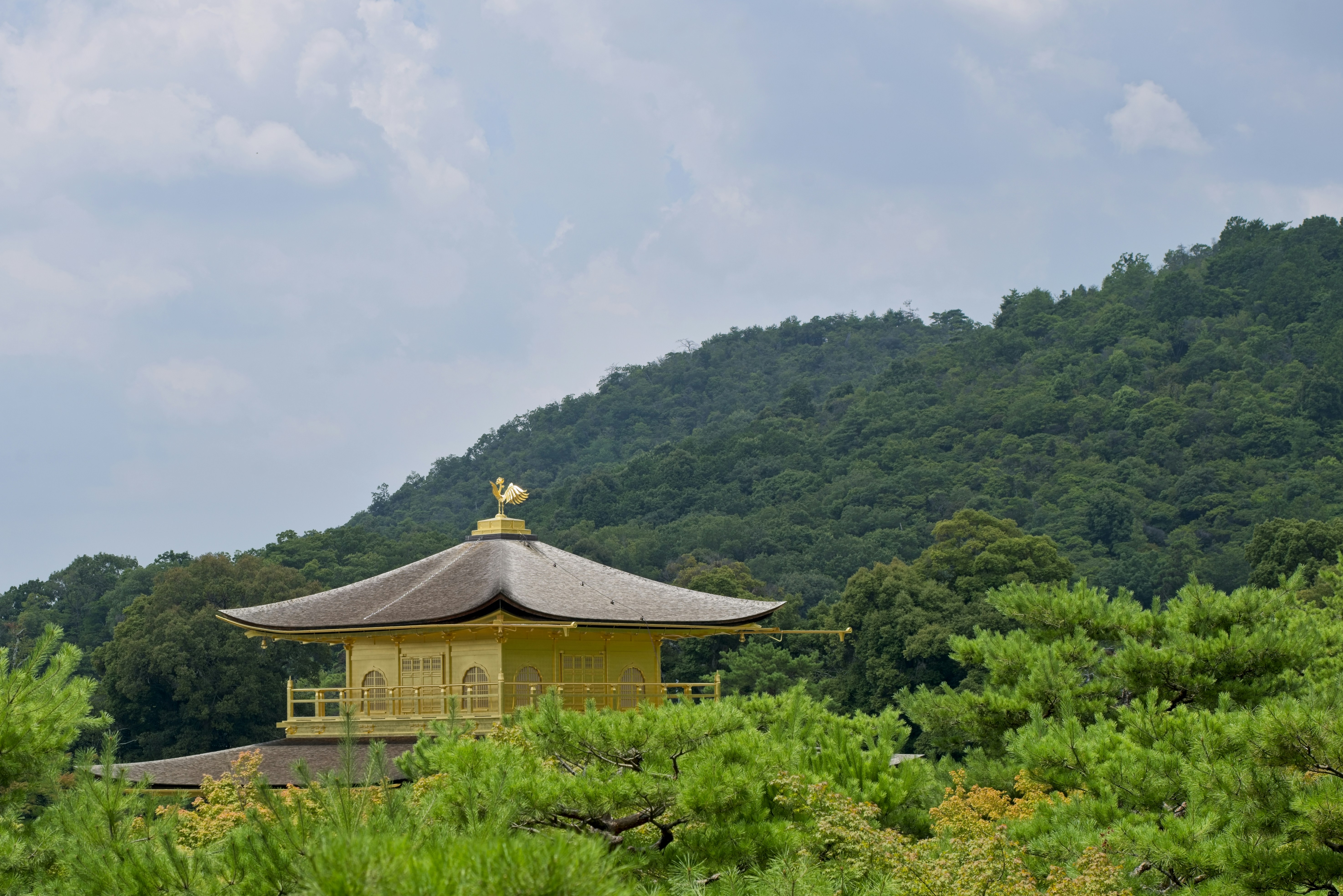 Golden Pavilion Quietly Reigns Over Green Hills