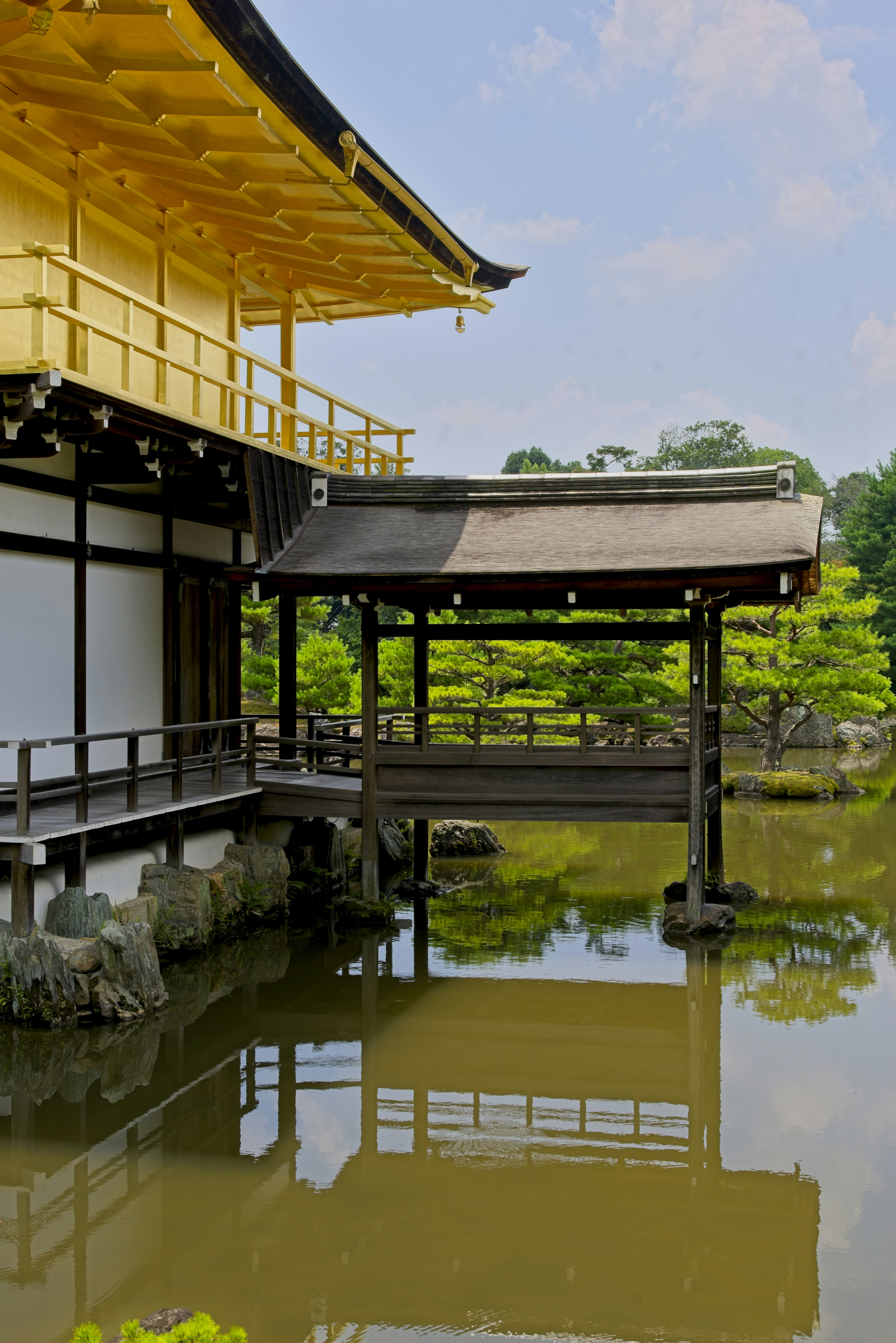 Golden Temple Overpond: A Quiet Balance of Architecture and Water