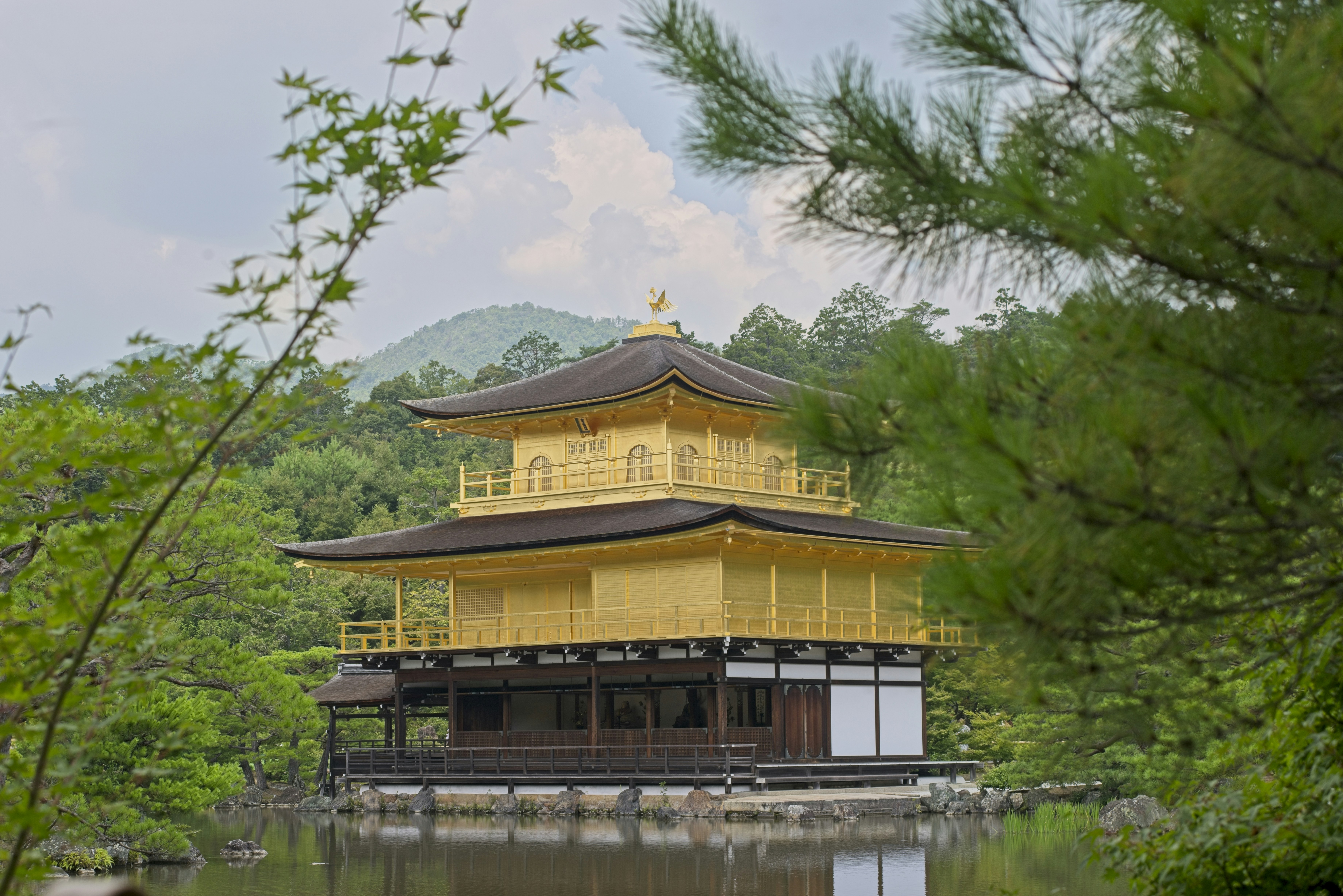 Golden Pavilion Reflected: Kyoto’s Kinkaku-ji Among Maple and Pines