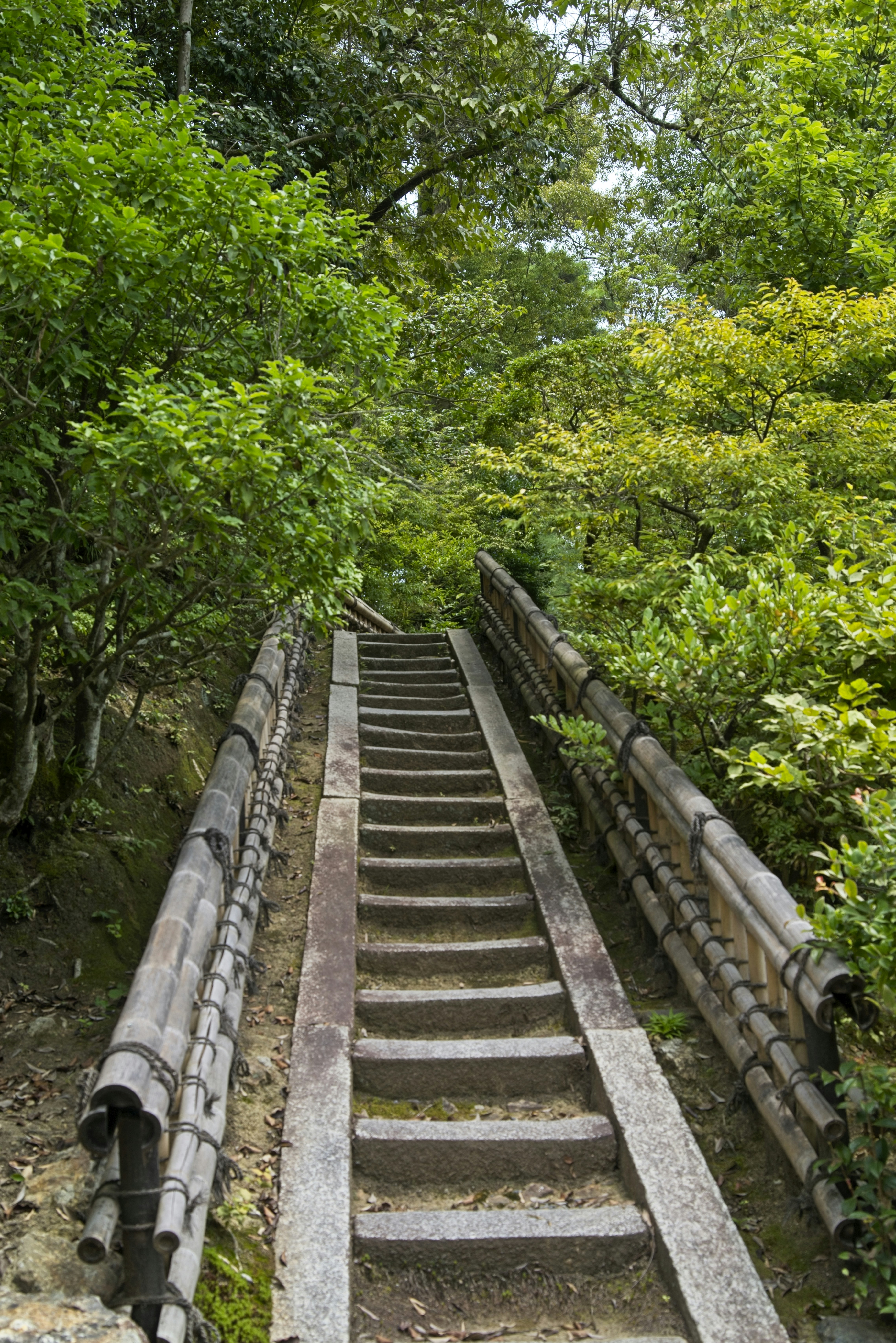 Stone steps through a lush green corridor on a tranquil hillside bridge