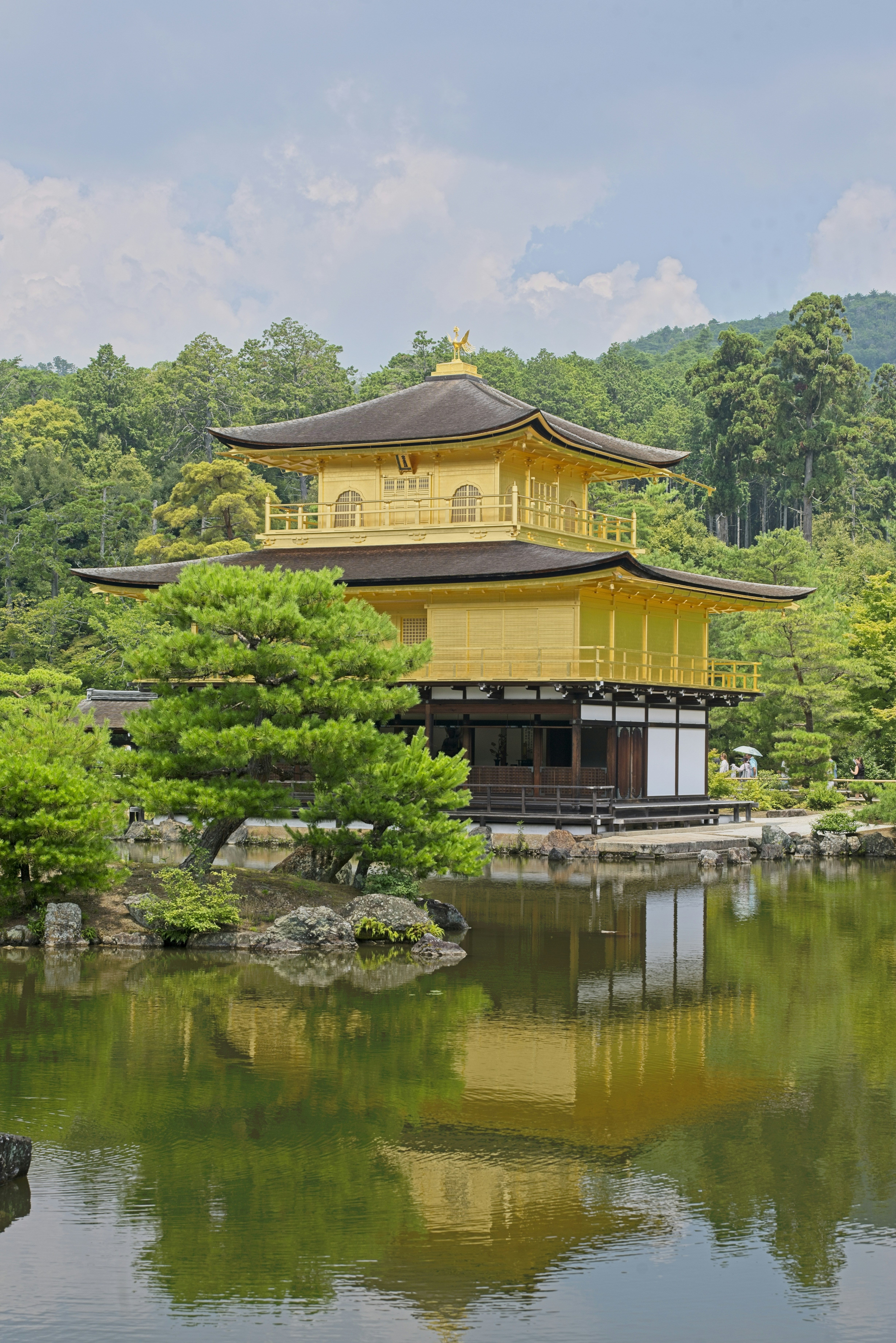 The dazzling Golden Pavilion of Kinkaku-ji rises above its tranquil reflecting pond in Kyoto, its gold-leafed exterior gleaming beautifully against a backdrop of dense green forest on a hot summer evening in July. A golden phoenix ornament crowns the layered rooftop, while carefully pruned pine trees frame the shoreline. The temple's mirror image shimmers gently across the still water, creating a striking symmetrical composition. This iconic Zen Buddhist temple remains one of Japan's most celebrated and photographed landmarks, drawing visitors from around the world.