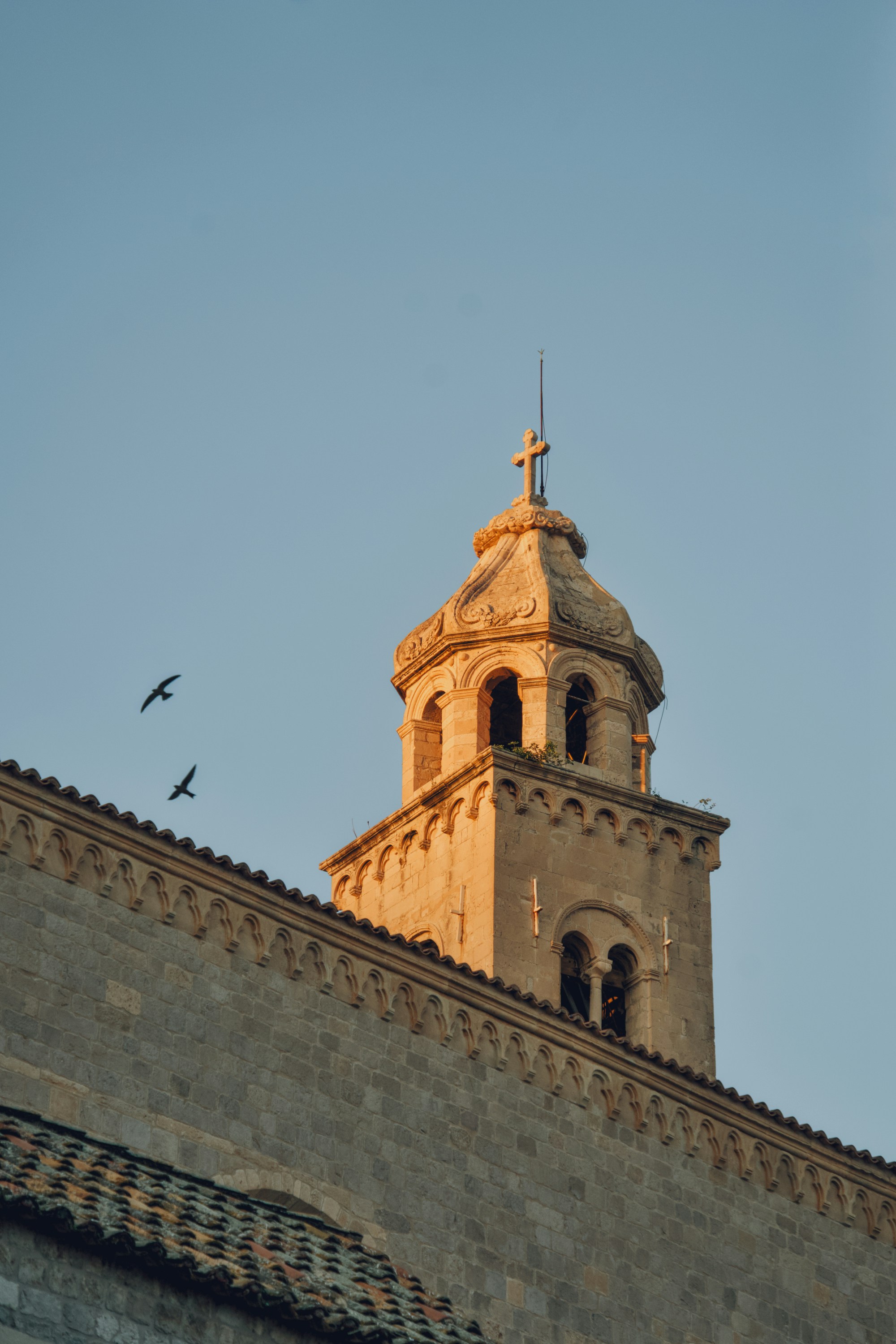 Echoes of the Bell Tower: Sunlit Stone and Flying V