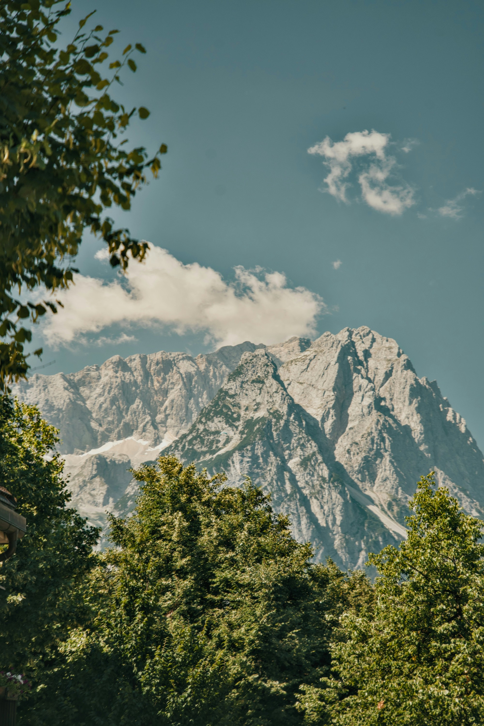 Snow-draped peaks between green sentinels