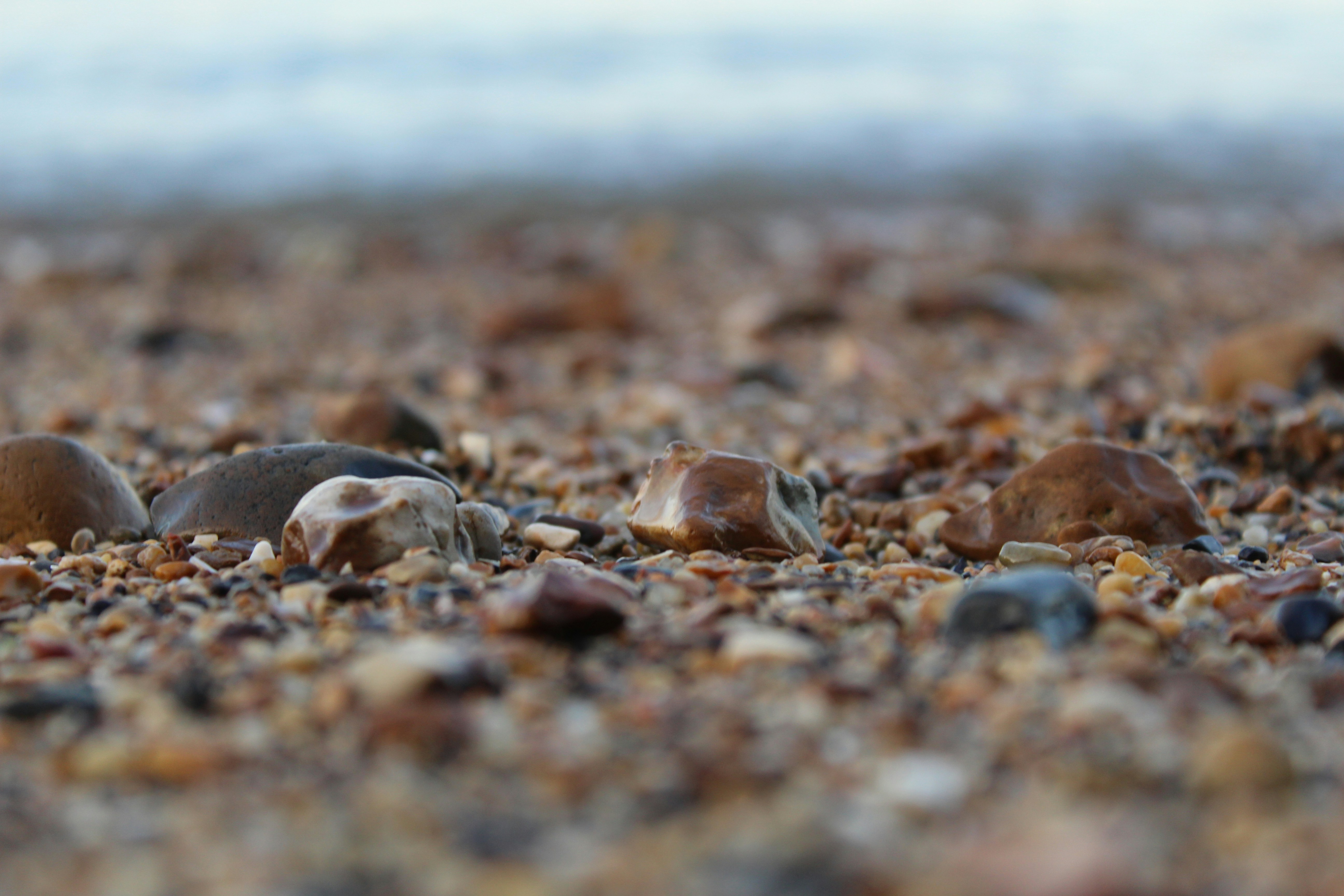 Pebble Mosaic by the Shoreline