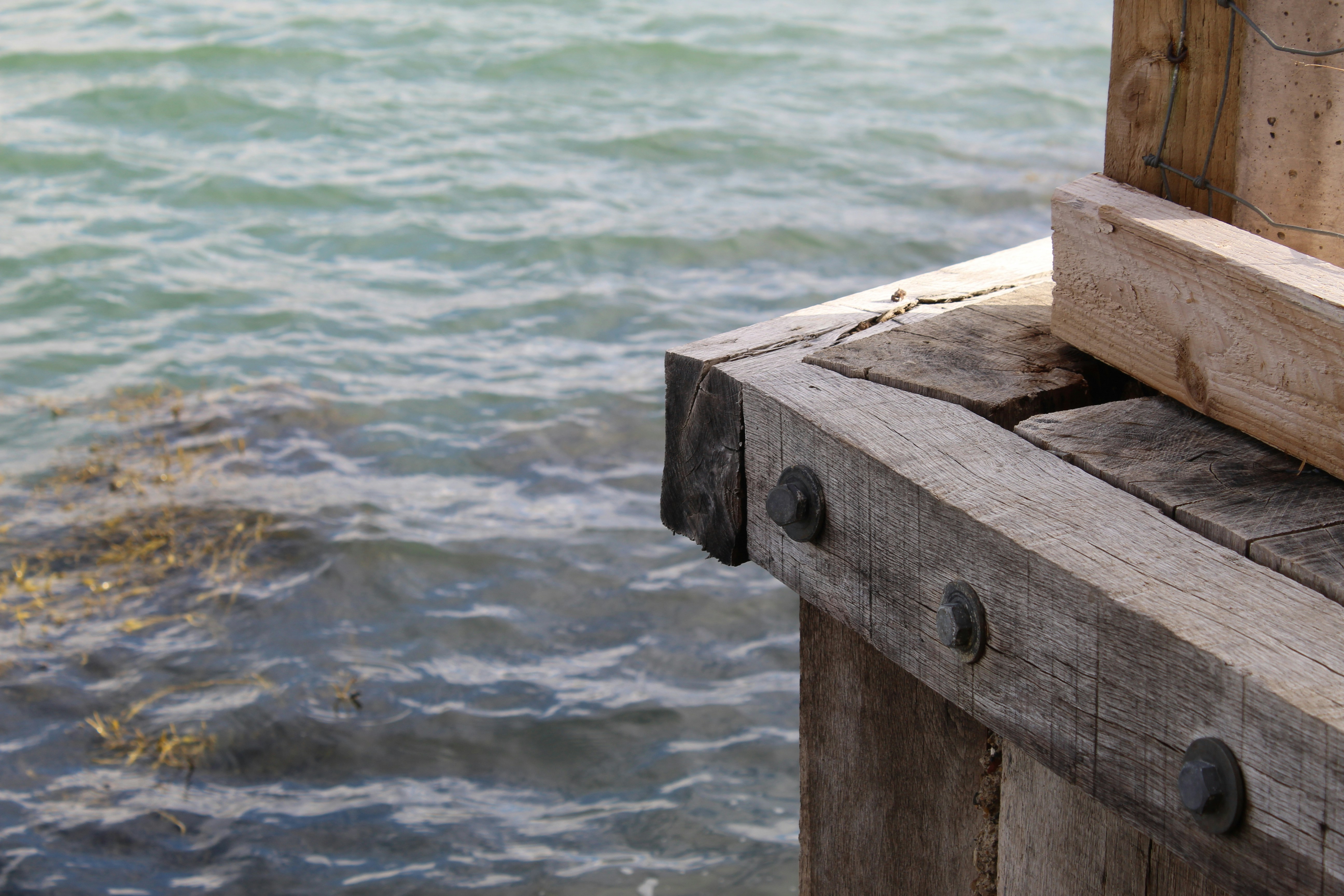 Weathered Pier Edge: A Quiet Moment by the Water