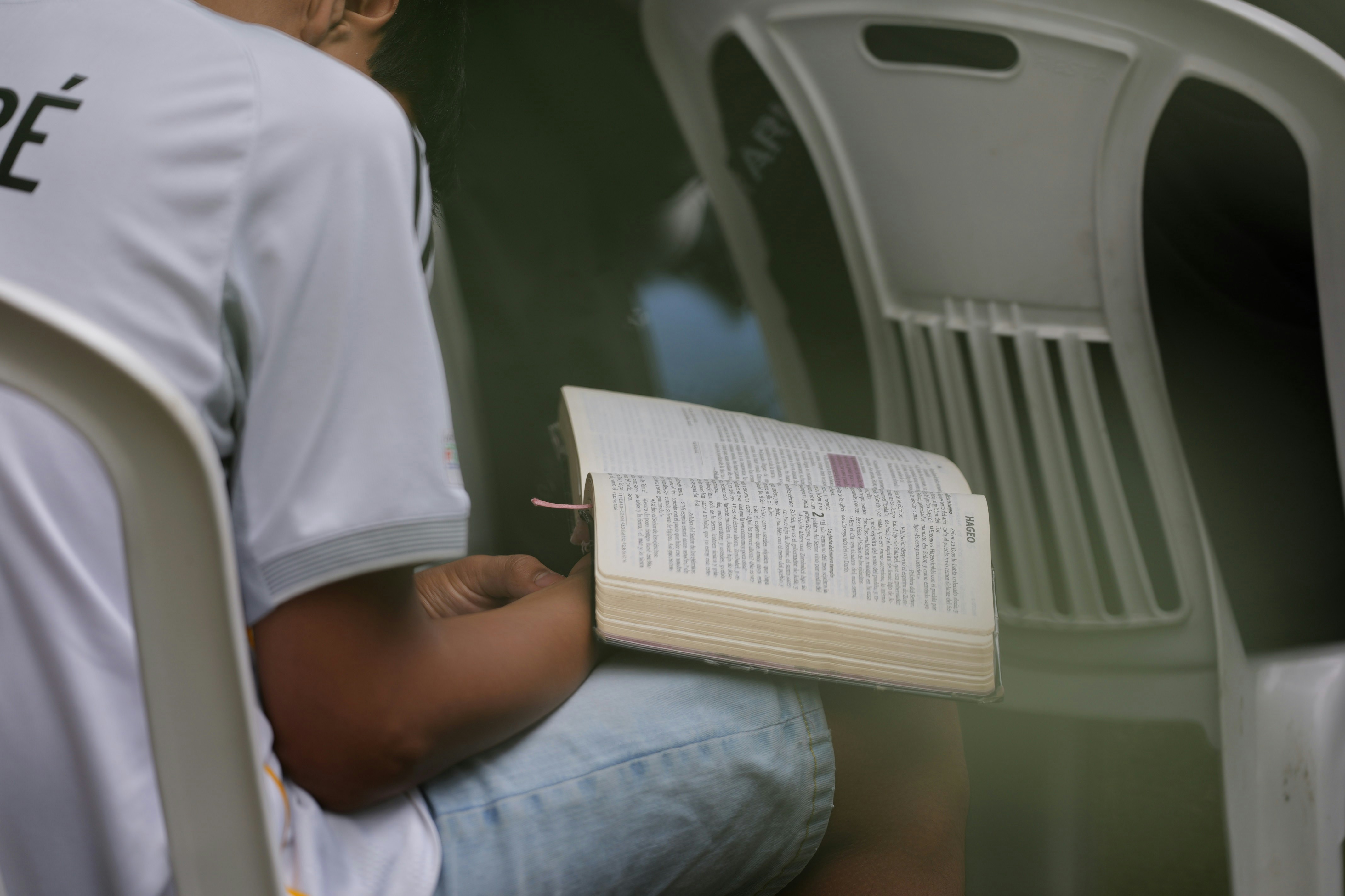 Reading by Seat: A Momentary Quiet Beside the Row