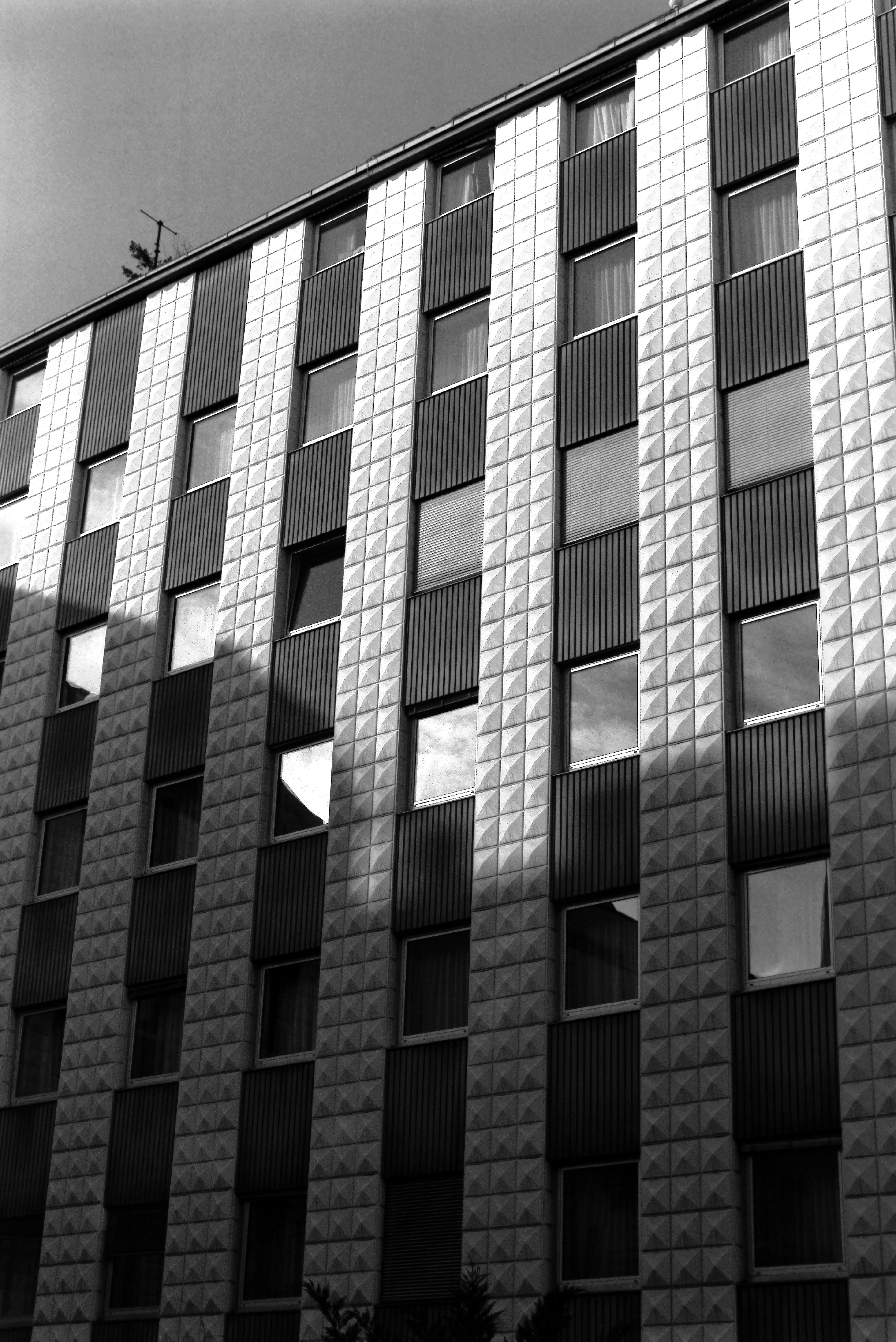 Patterned Facade in Monochrome: Vertical Grids and Shadowed Lines