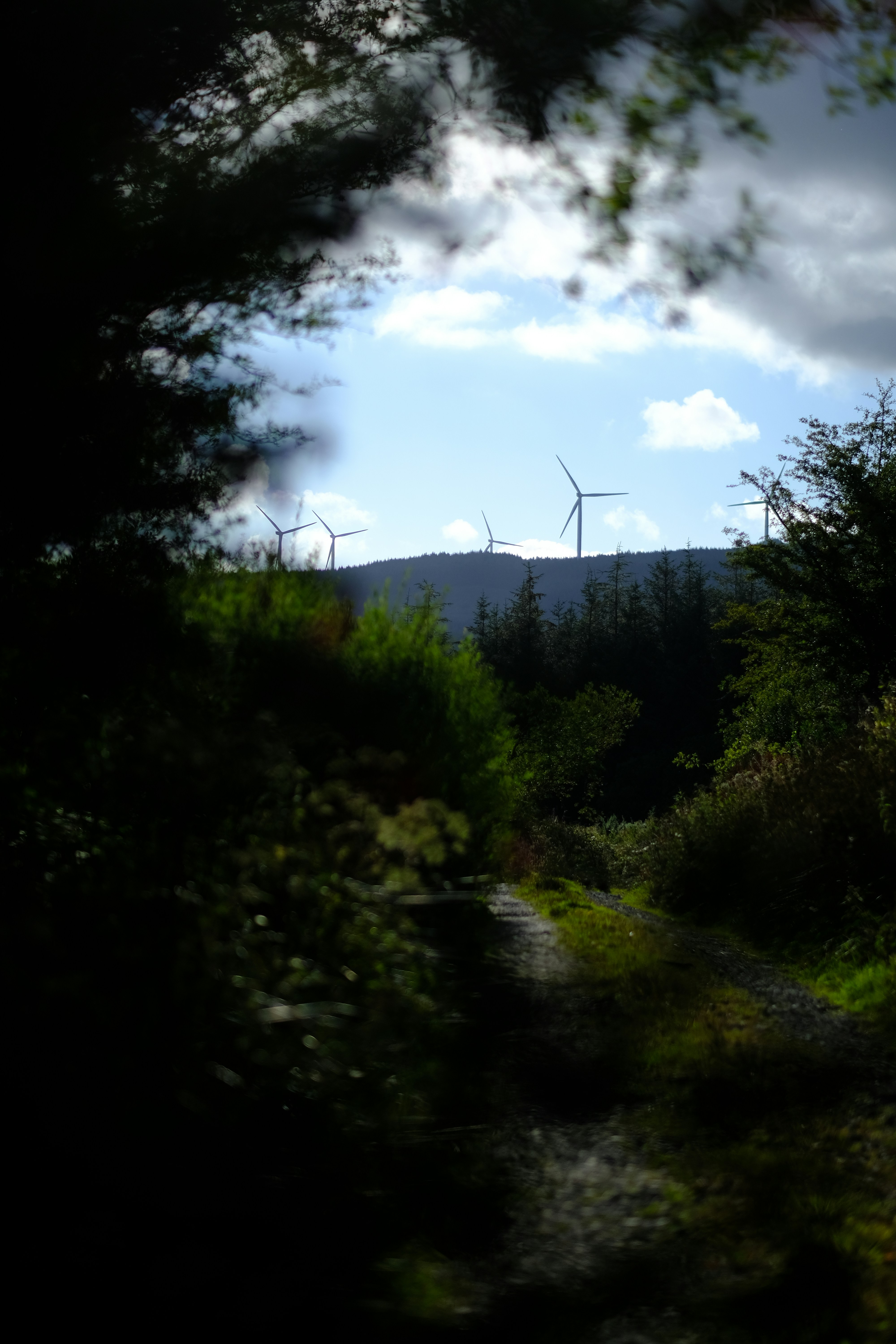 Kinship of Quiet Towers: Wind Turbines on the Ridge