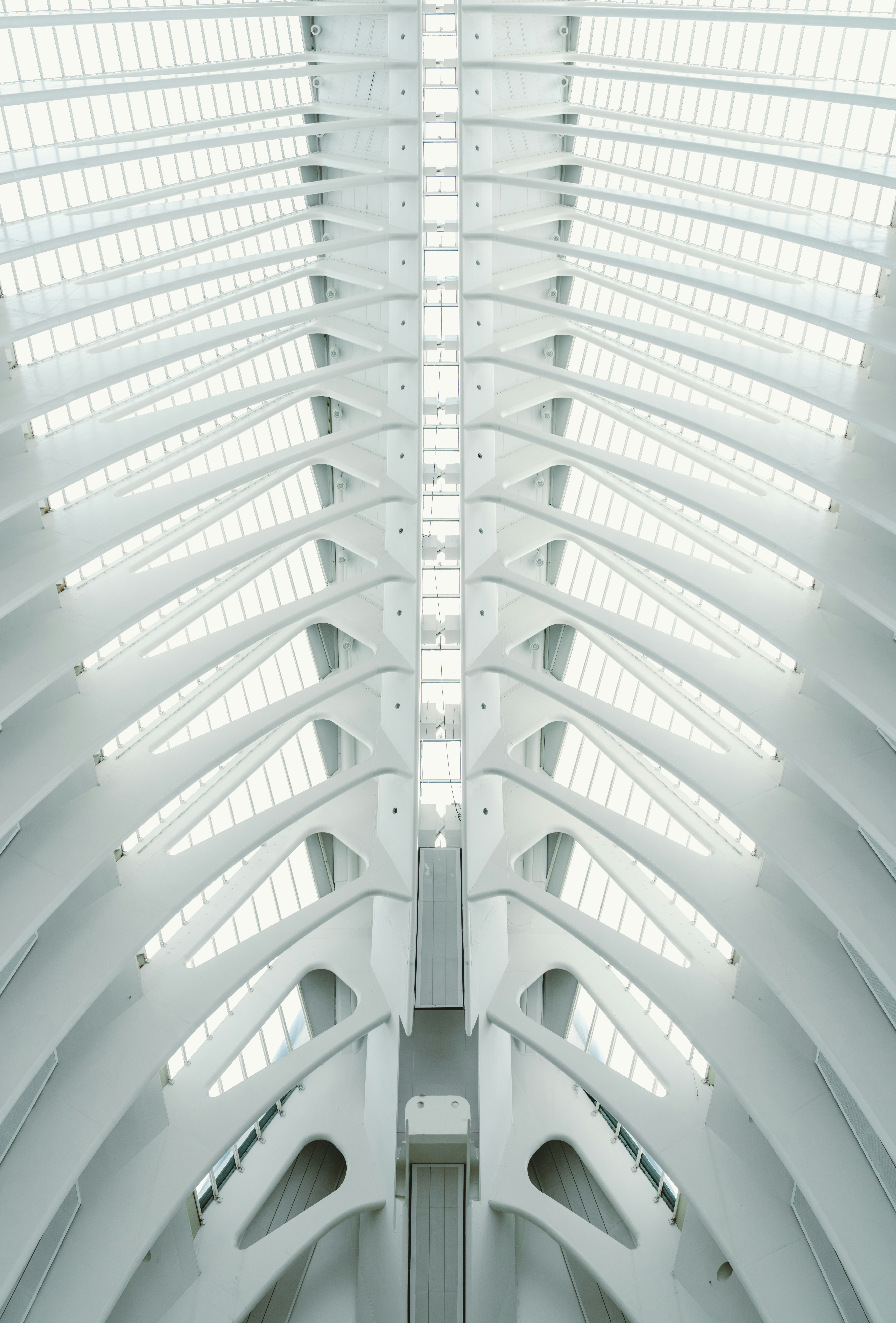 Symmetry of Light: A Ferro-Arch Atrium Descending into Cadence