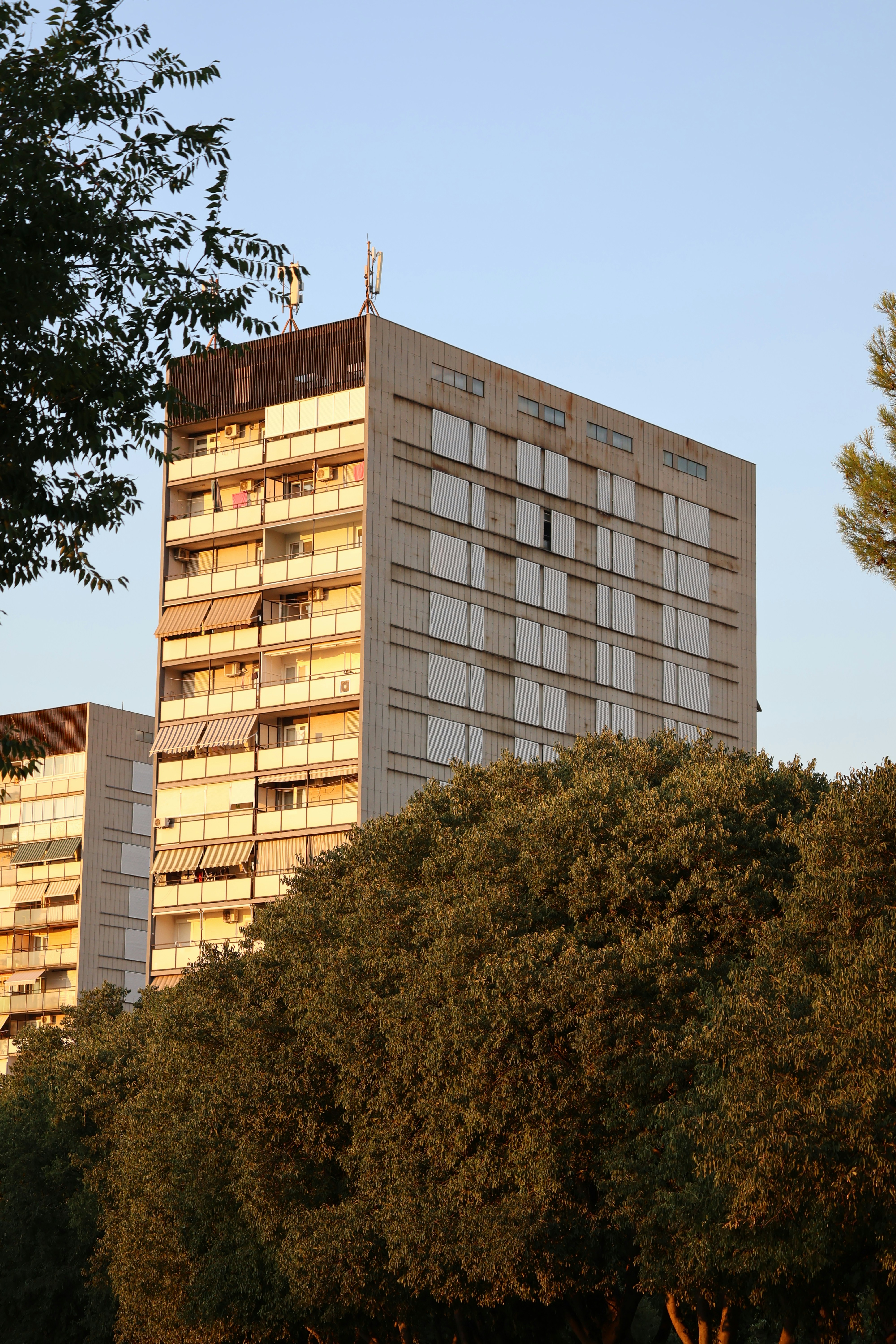 Sunlit High-rise over a Green Canopy