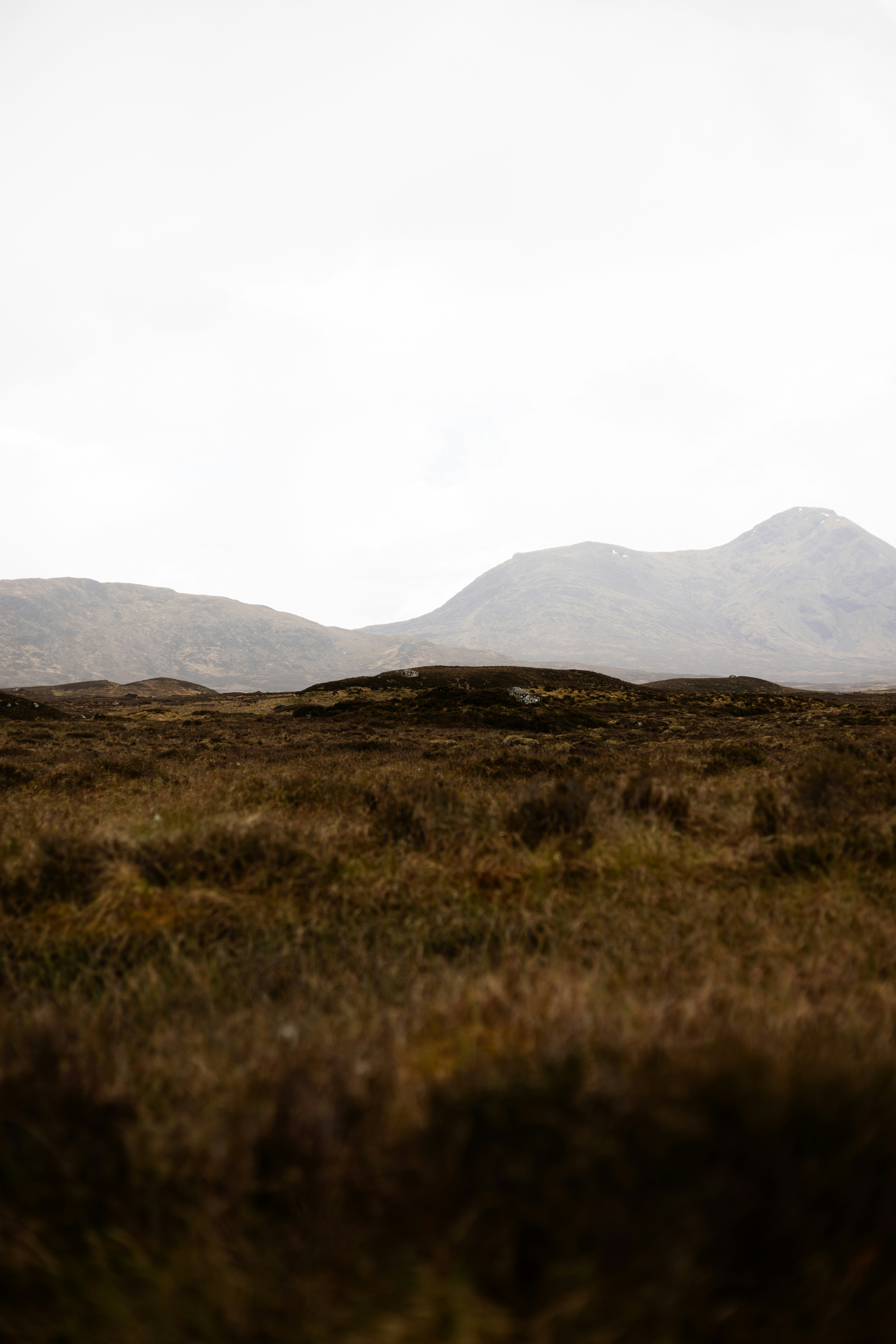 Deserted Moor Under Dim Light, Distant Ridge Emerges from Mist